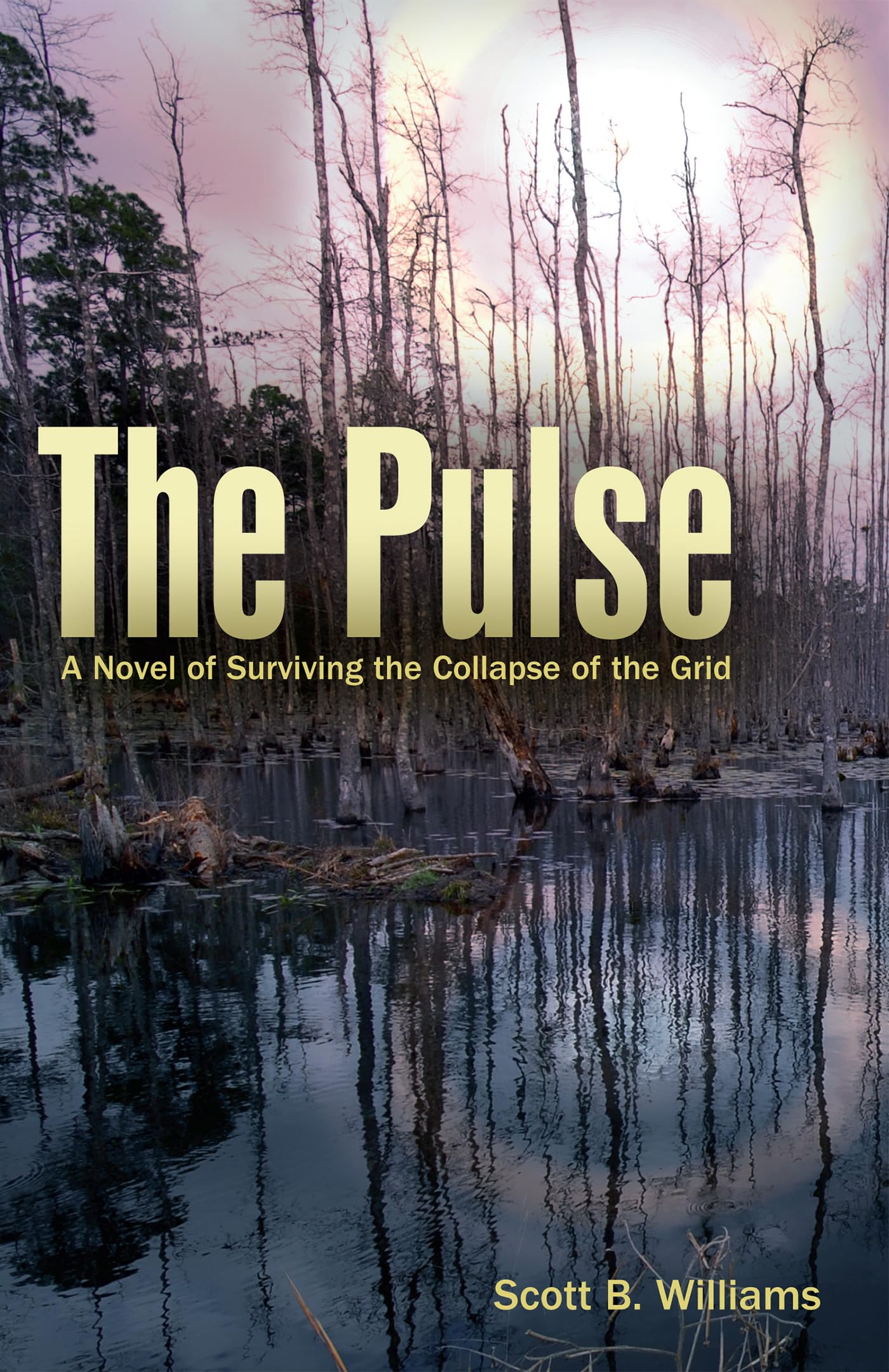 Amazon.com: The Pulse: A Novel of Surviving the Collapse of the Grid ...