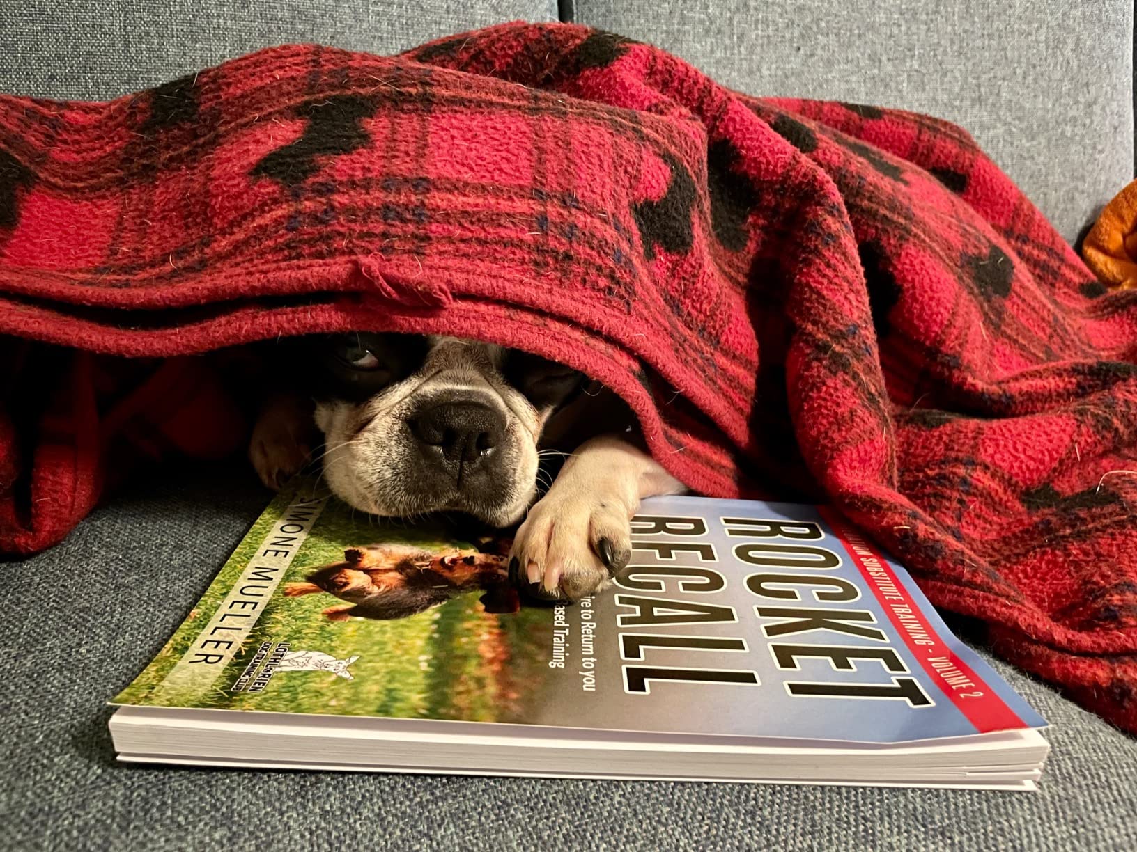 Rocket Recall: Unleash Your Dog's Desire to Return to You through Motivation-Based Training: 2 ...