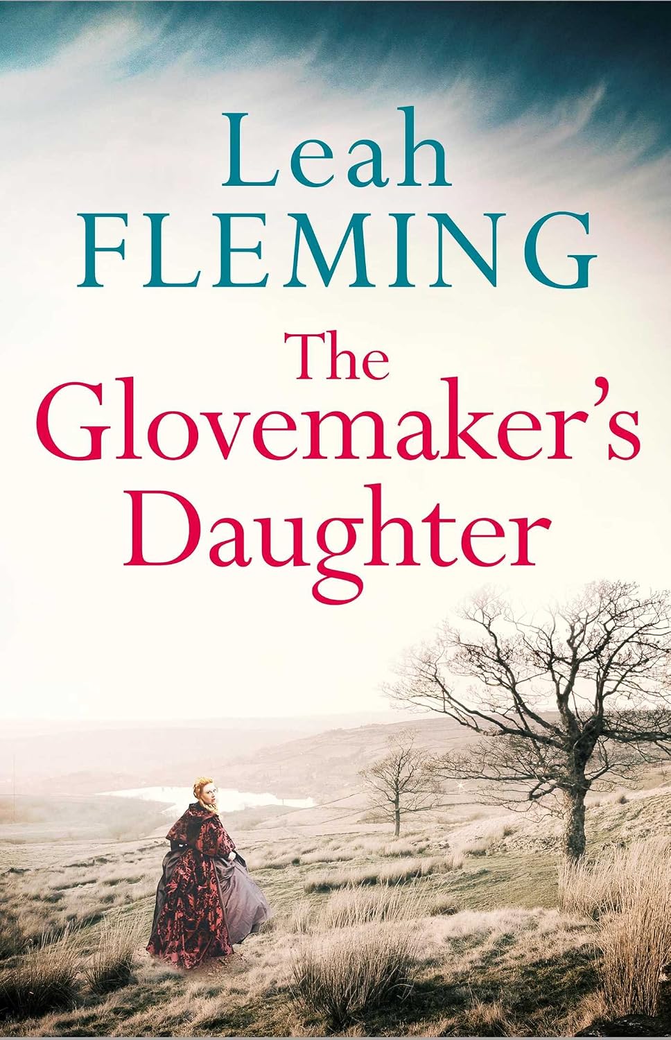 The Glovemaker's Daughter: Amazon.co.uk: Fleming, Leah: 9781471141362 ...