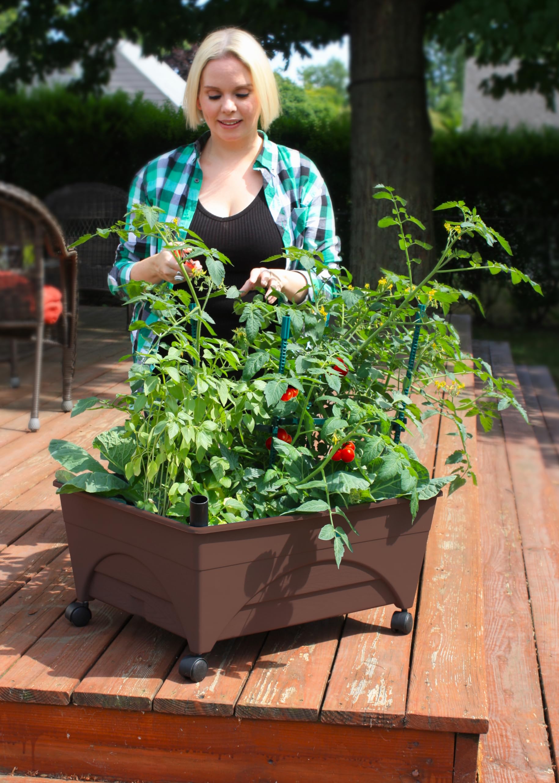 Best Grow Box Reviews: City Pickers vs Earthbox Comparison & Guide