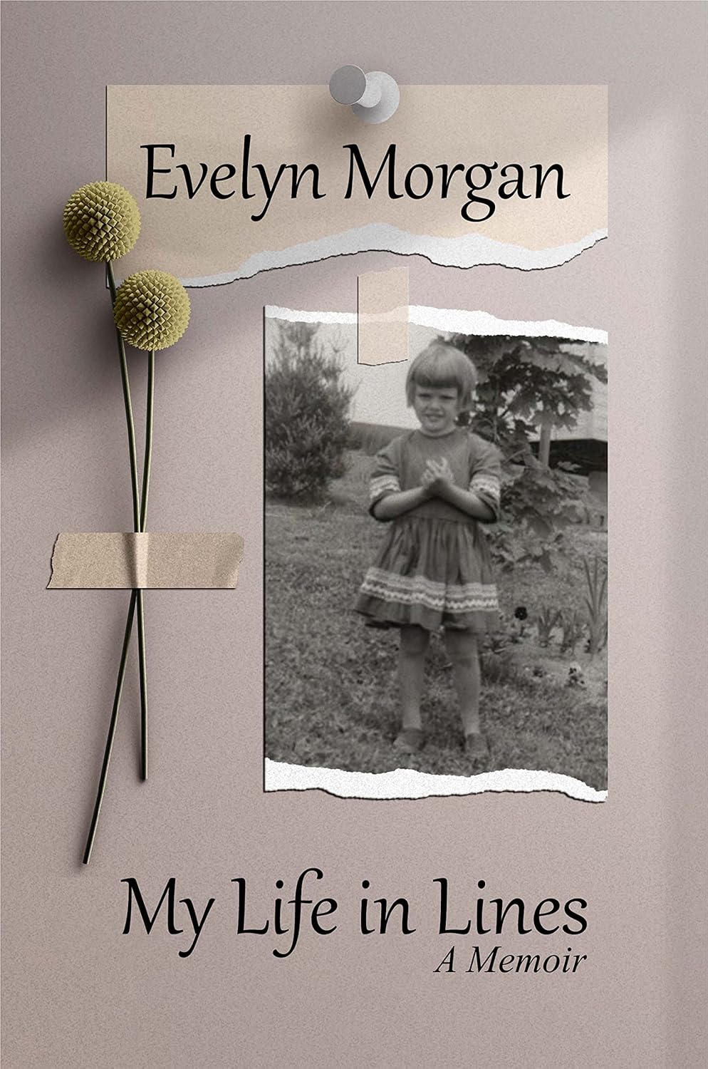 Amazon.com: MY LIFE IN LINES: A Memoir eBook : MORGAN, EVELYN : Kindle ...