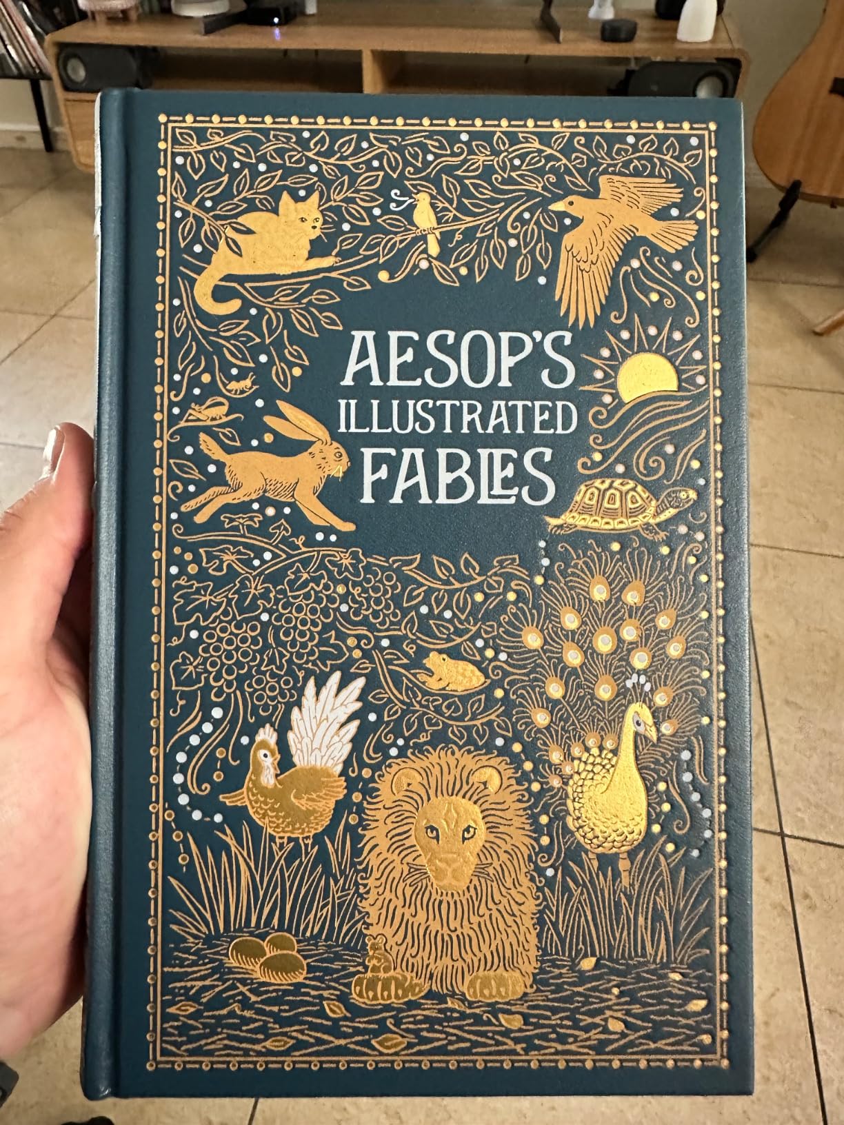 Aesop's Illustrated Fables (Barnes & Noble Collectible Classics ...