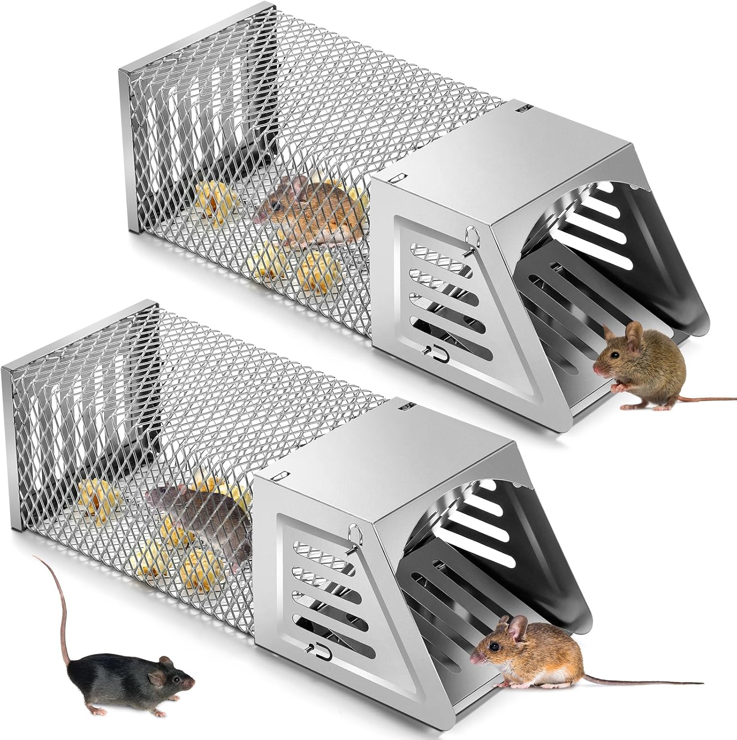 Amazon.com : Qualirey 2 Pack Humane Rat Trap 11 Inches Combined ...