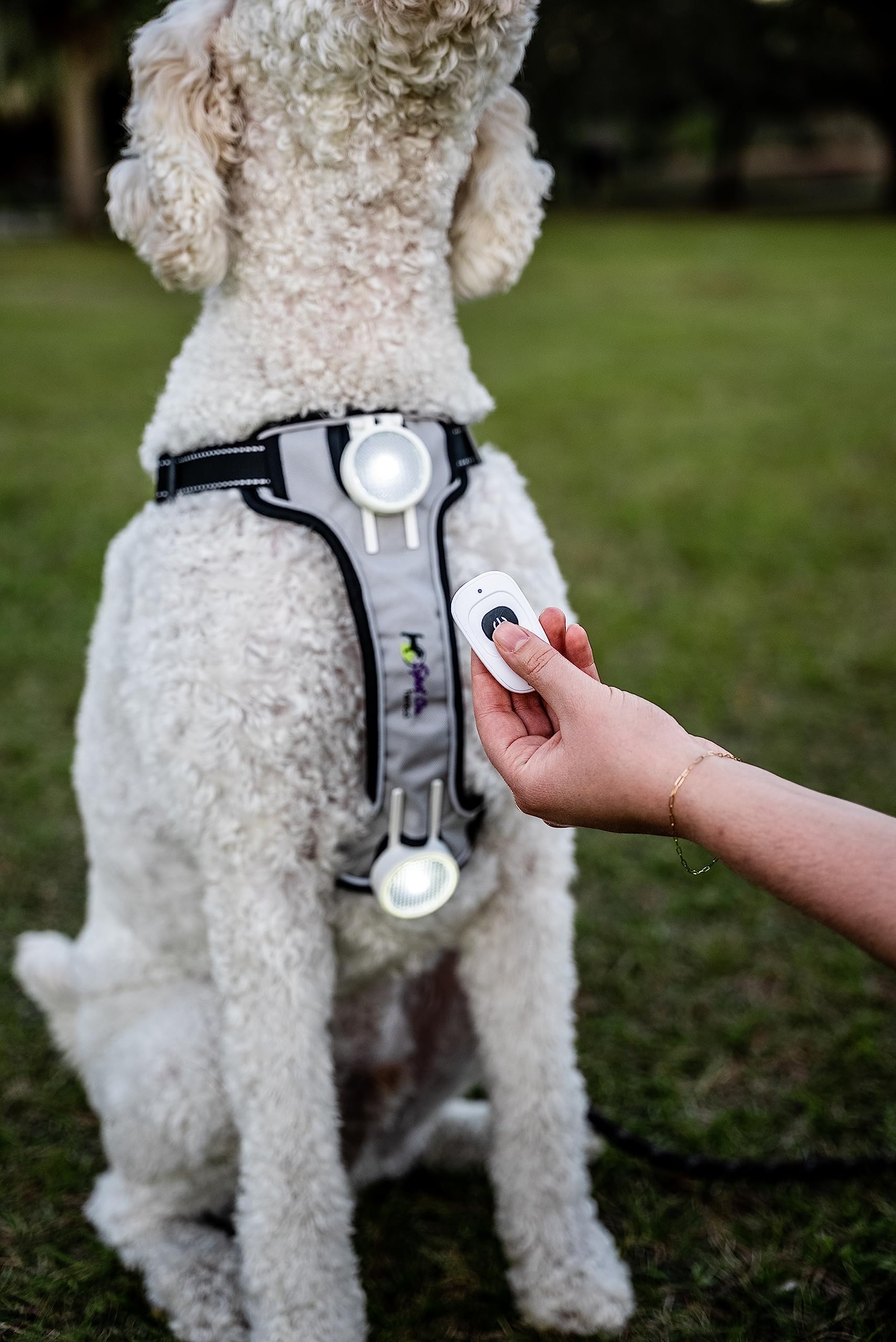 Amazon.com : Lighted Dog Harness - Dual LED Rechargeable Dog Harness ...