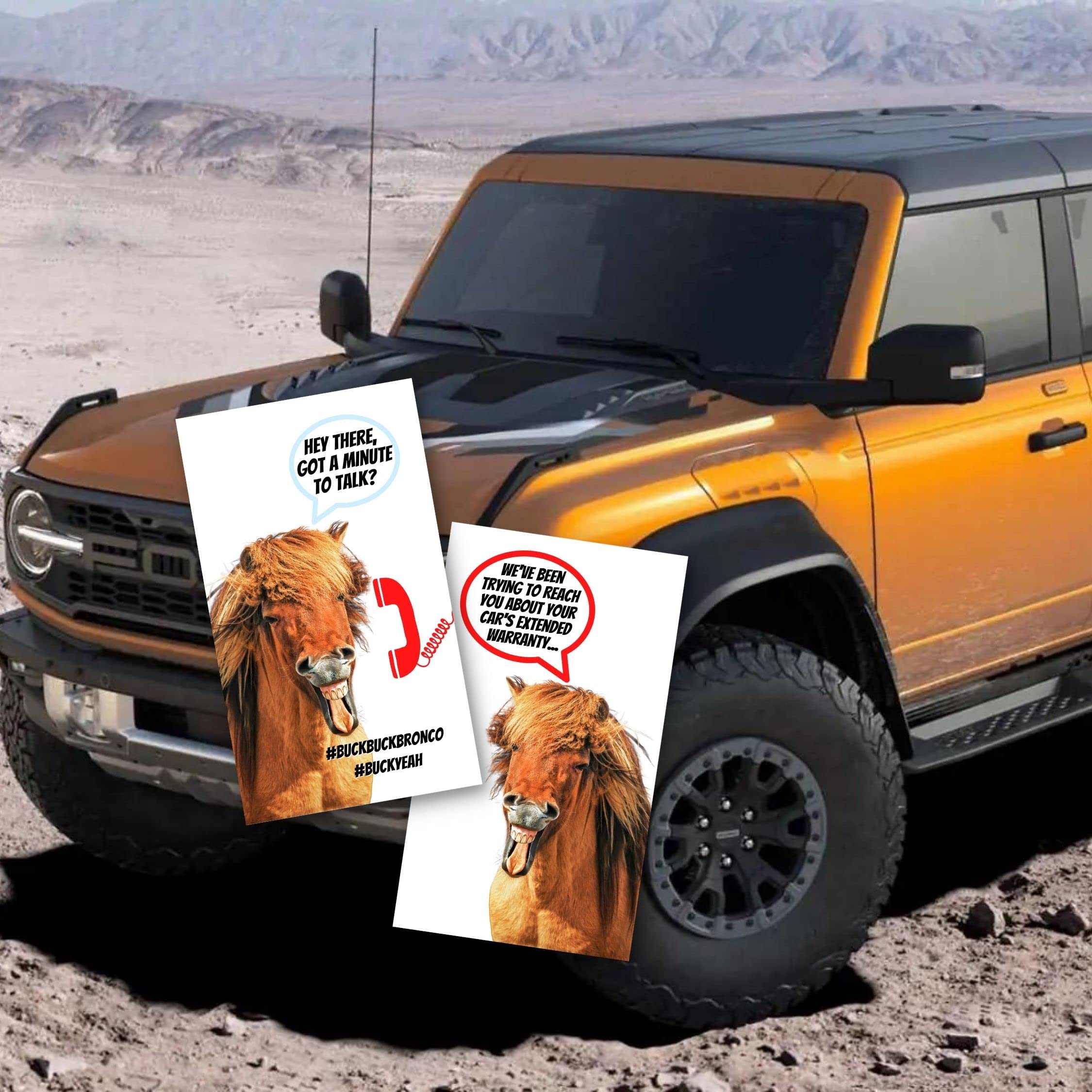 You Ve Been Bucked Bronco Meaningnull
