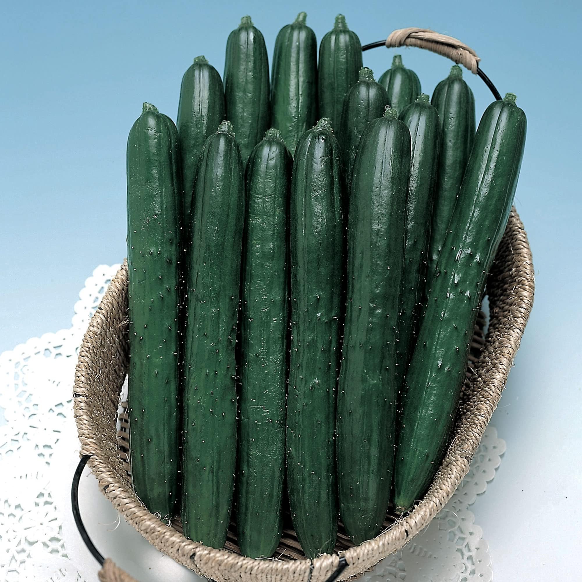 Amazon.com : Tyria Organic F1 Hybrid Cucumber Seeds (45 Seeds) Seeds ...