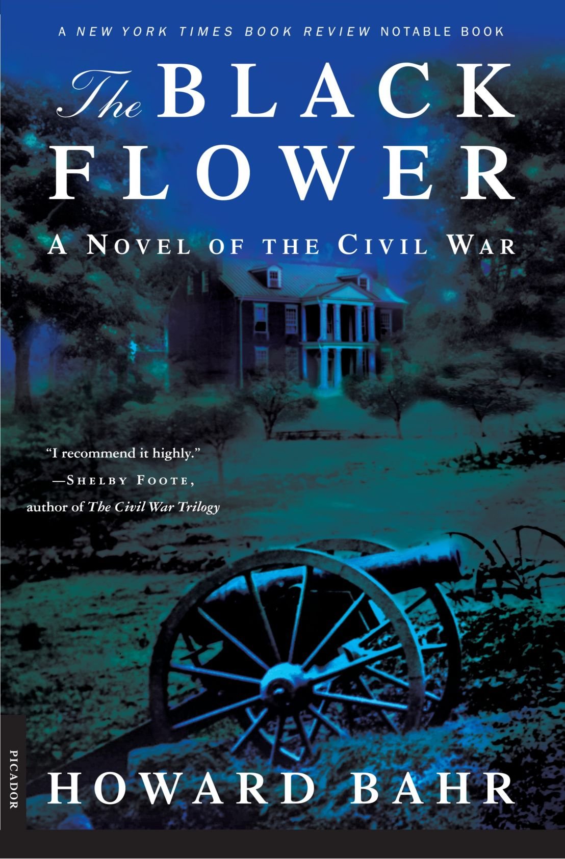 The Black Flower: A Novel of the Civil War: Bahr, Howard: 9780312265076 ...