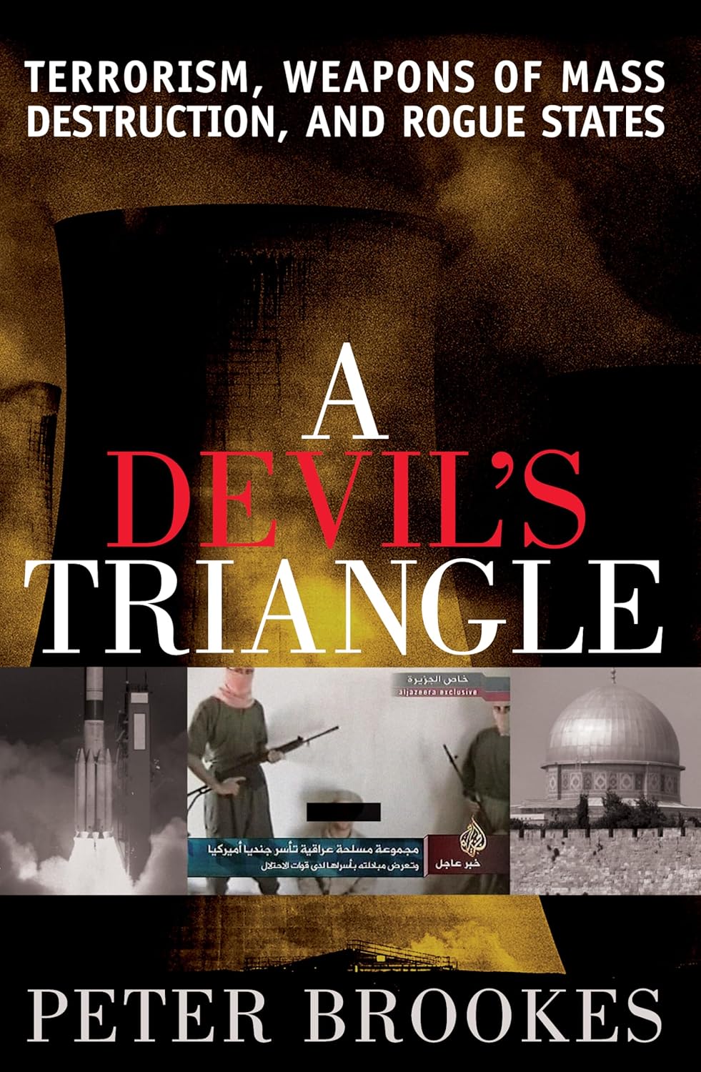 A Devil's Triangle: Terrorism, Weapons of Mass Destruction, and Rogue ...