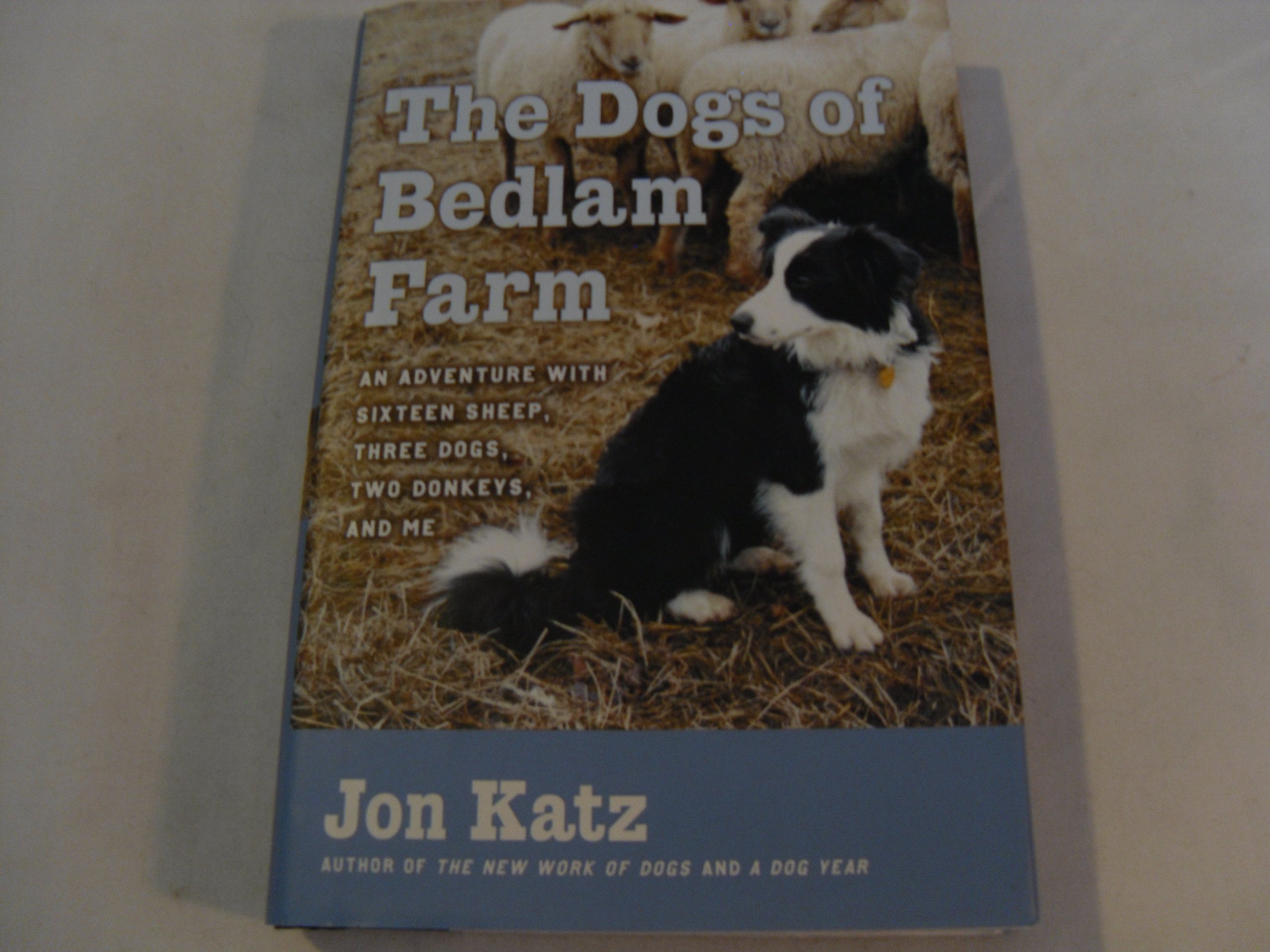 The Dogs of Bedlam Farm: An Adventure with Sixteen Sheep, Three Dogs ...