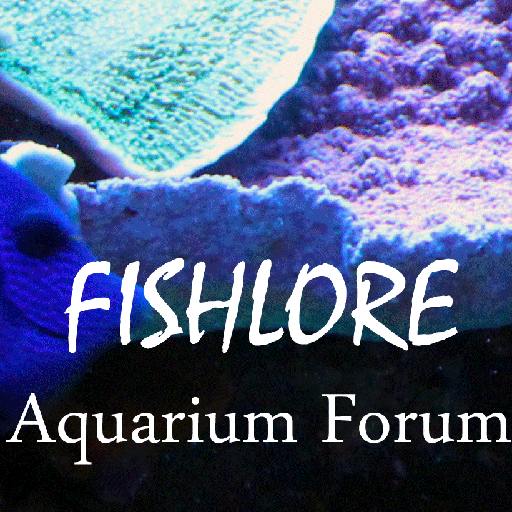 Fish Lore Aquarium Forum App - App on Amazon Appstore