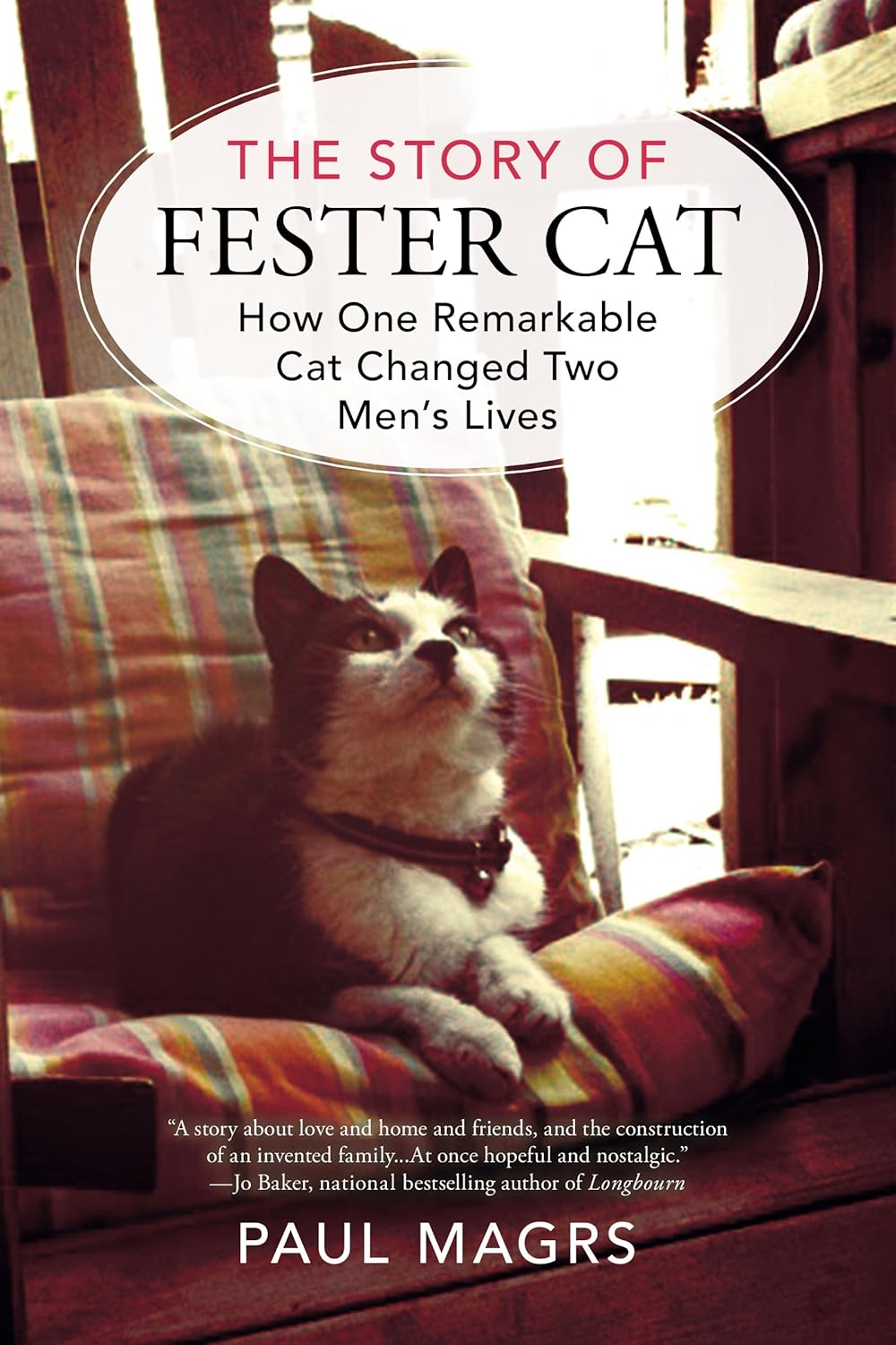 The Story of Fester Cat: How One Remarkable Cat Changed Two Men's Lives ...