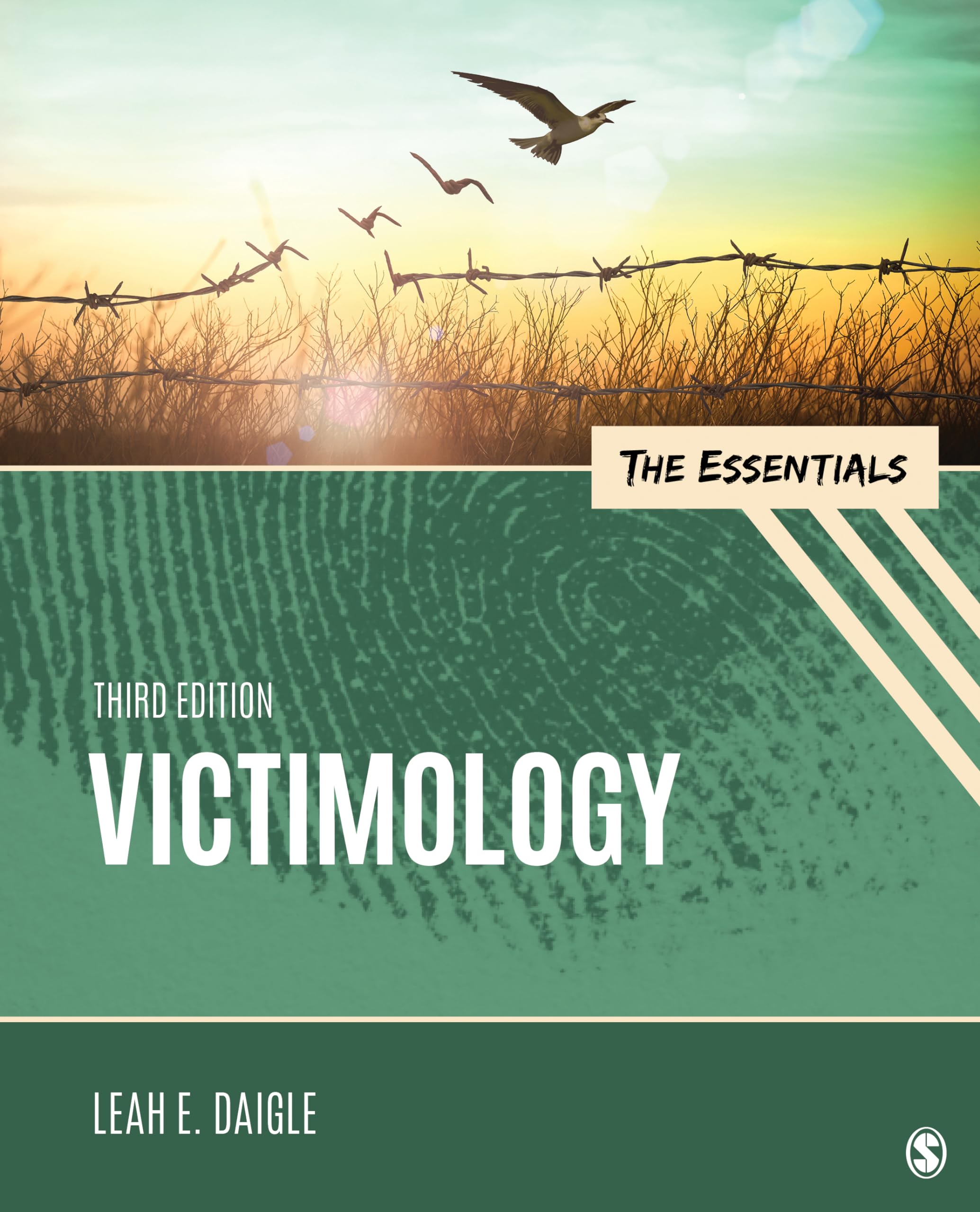 Victimology: The Essentials: Daigle, Leah E.: 9781544393193: Amazon.com ...