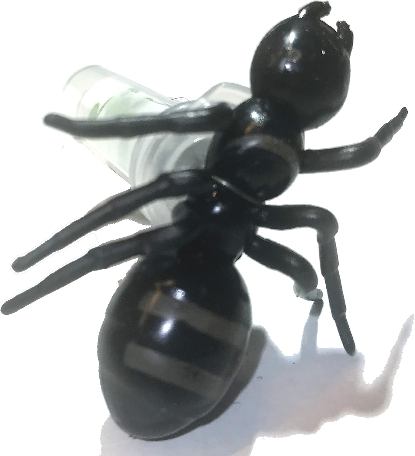 AllCachedUp Sneaky Big Ant Geocache Nano Tube Container Logged & Ready ...