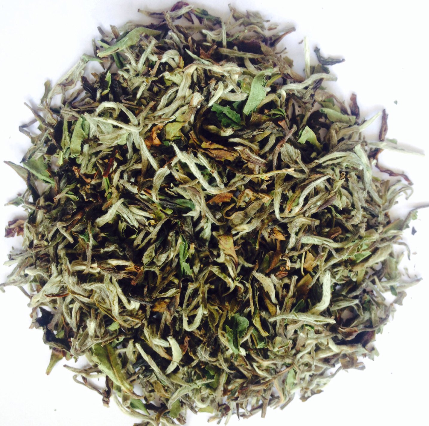 RIDDHI SIDDHI Fresh Darjeeling White Tea (400 gm) : Amazon.in: Grocery ...