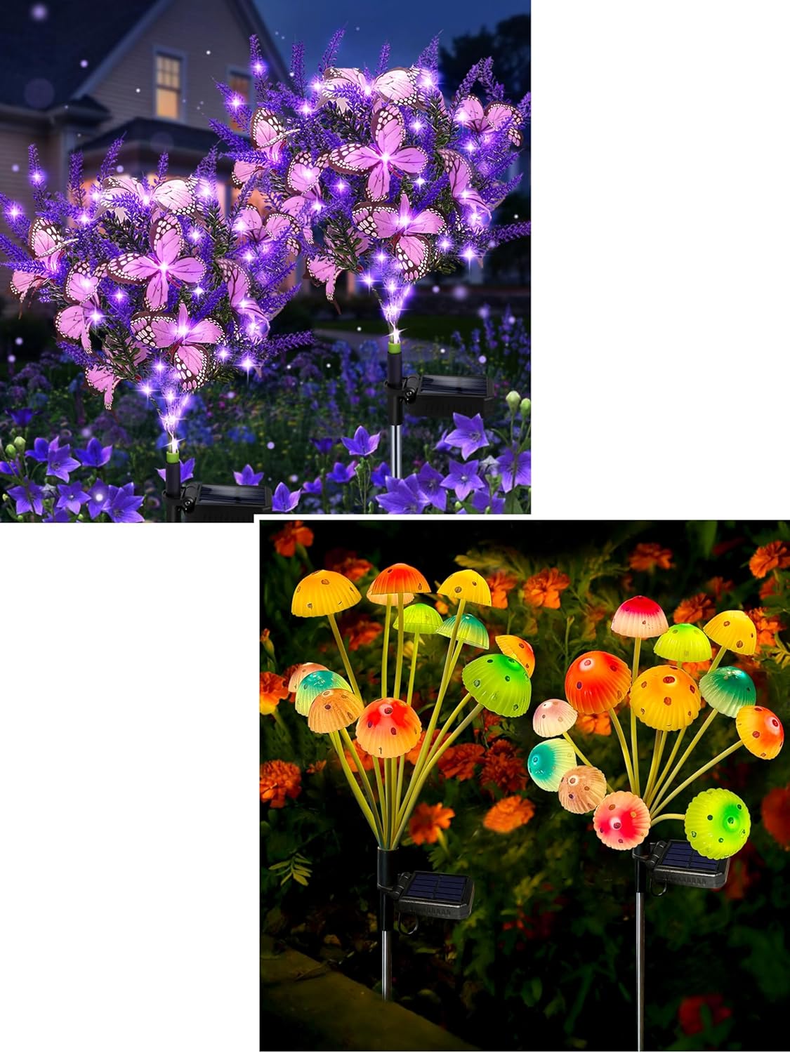 Amazon.com : 2 Pack Purple Lavender Solar Lights&2 Pack Solar Mushroom ...