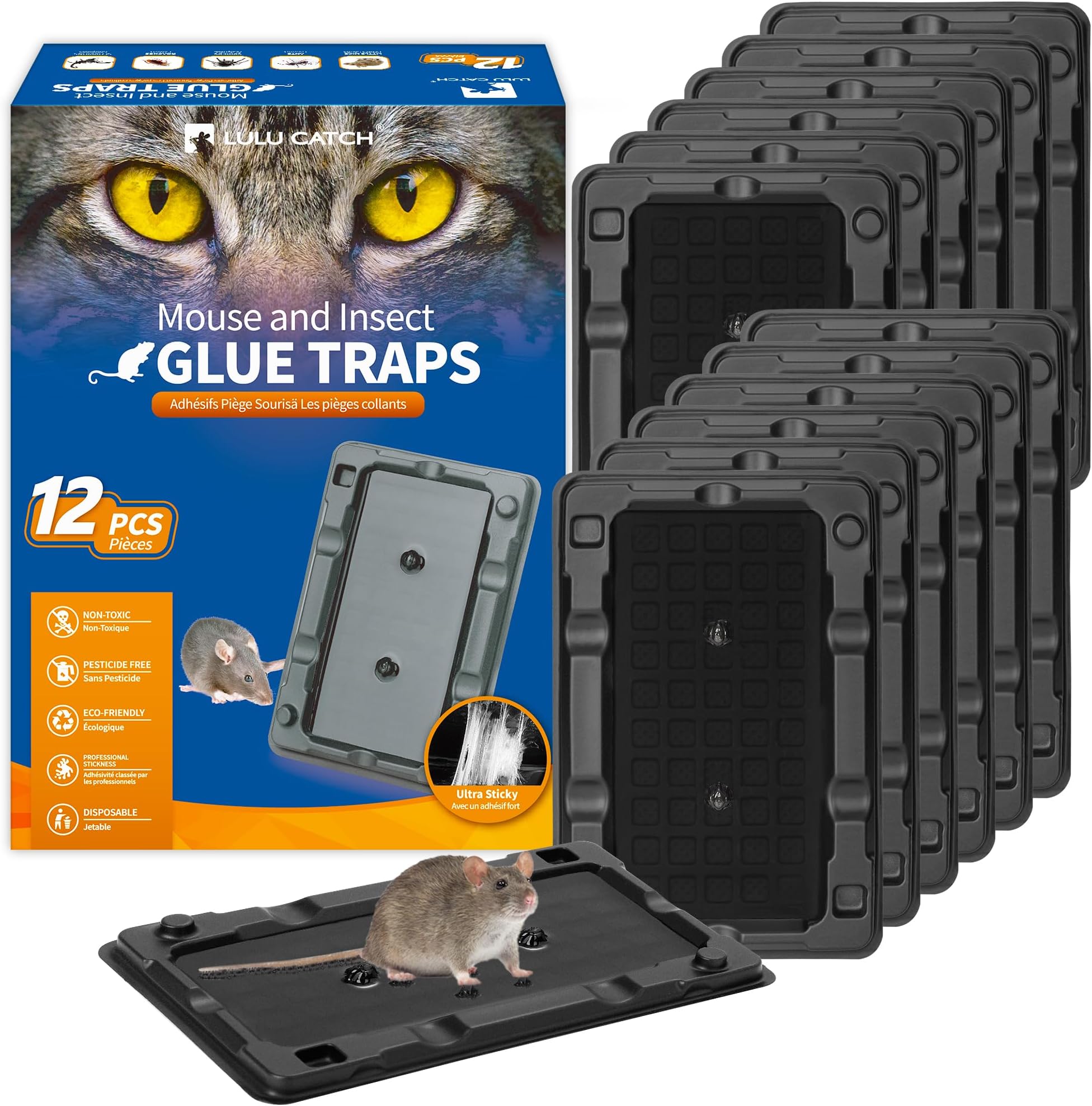 Amazon.com: Tomcat Mouse Trap with Immediate Grip Glue for Mice ...