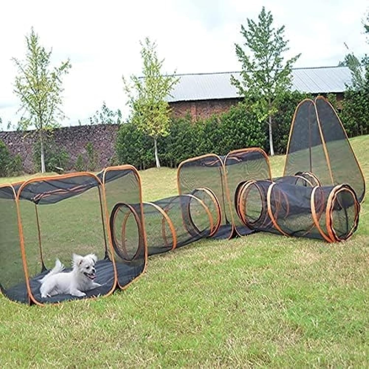 Outdoor Cat Tent 6-in-1 Portable with Tunnel Pop Up Foldable Pet ...