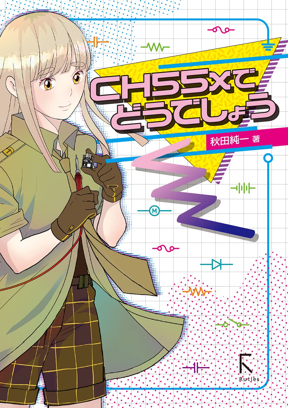CH55xでどうでしょう : 秋田純一: Amazon.com.au: Books
