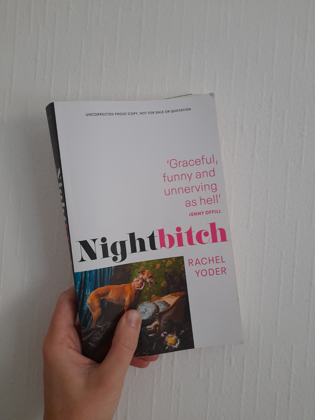 Nightbitch: Stylist’s summer cult breakout : Yoder, Rachel: Amazon.co ...