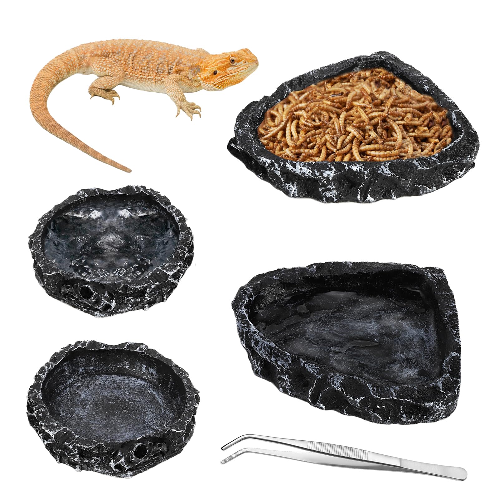 Amazon.com : Frcctre 4 Pack Reptile Food Dish Bowl, Reptile Feeding ...