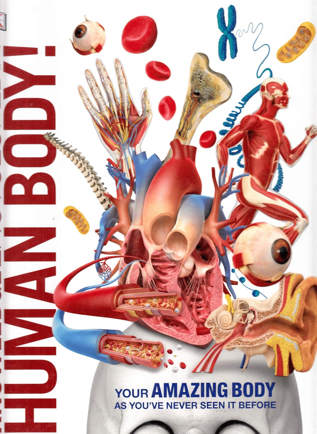 Knowledge Encyclopedia Human Body 9780241385777 Books Amazon Ca