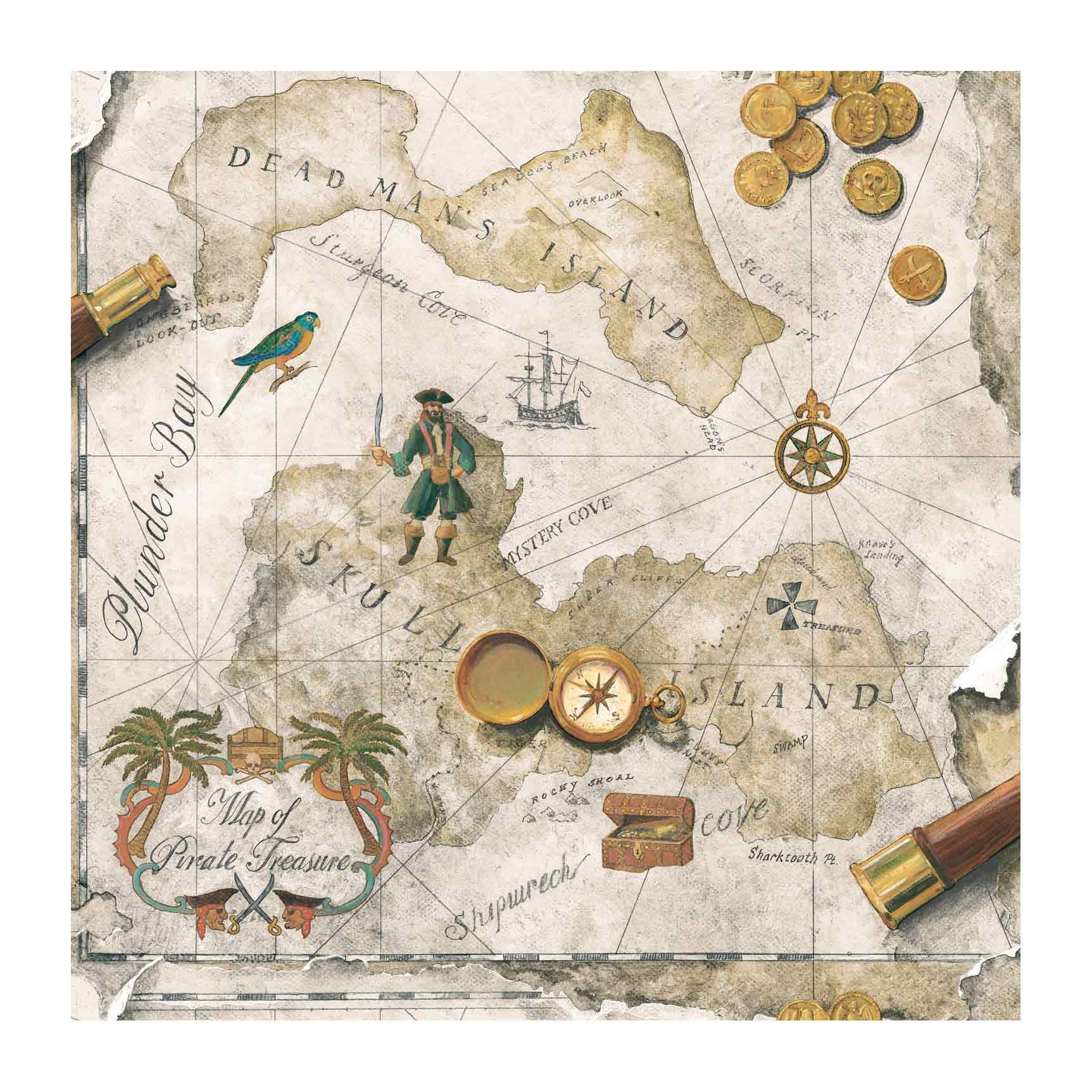 Vintage Pirate Map Pirate Map Vinyl Carpet