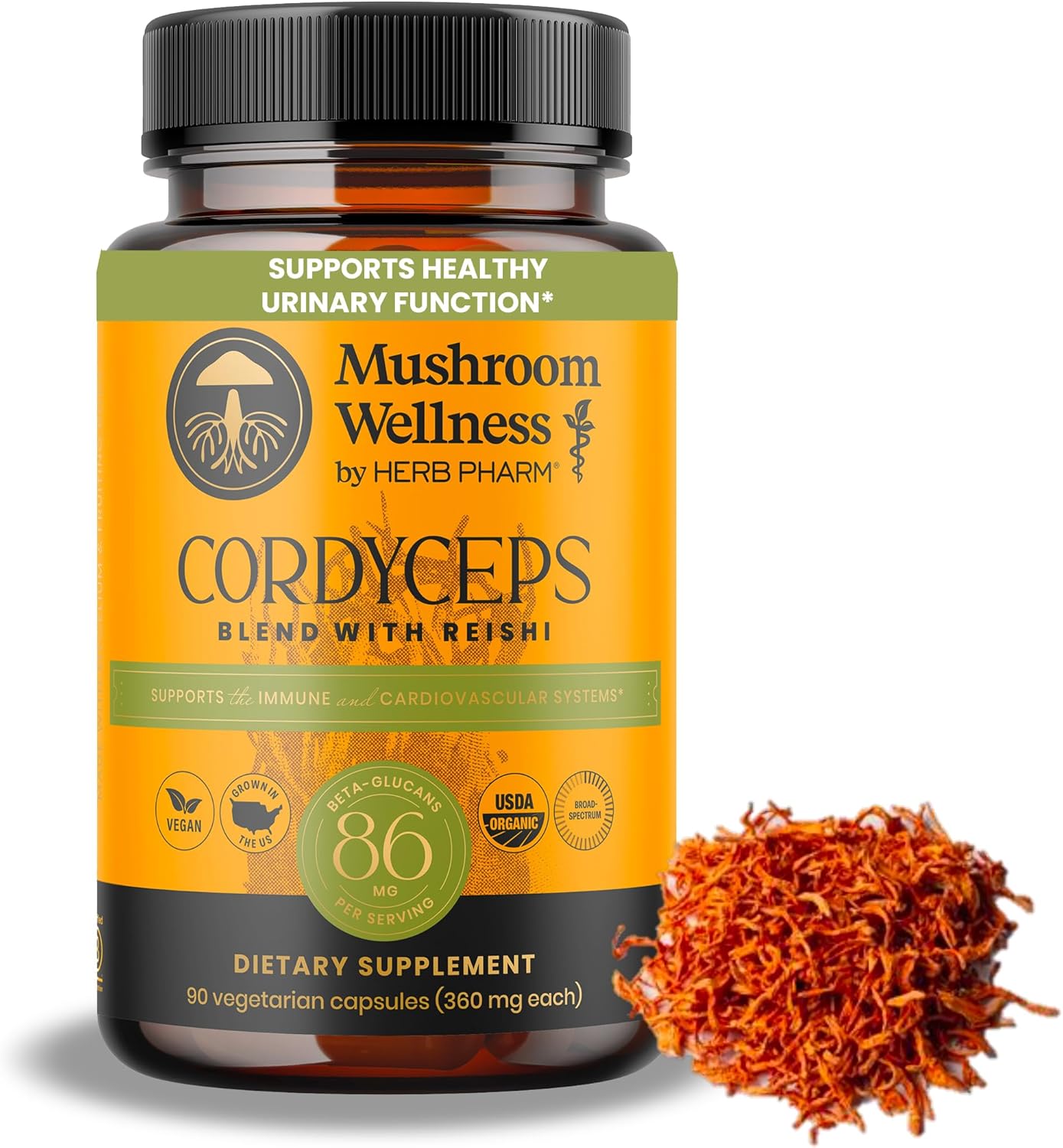 Amazon.com: Mushroom Wellness Cordyceps Blend with Reishi: Organic Cordyceps & Reishi Mushroom ...