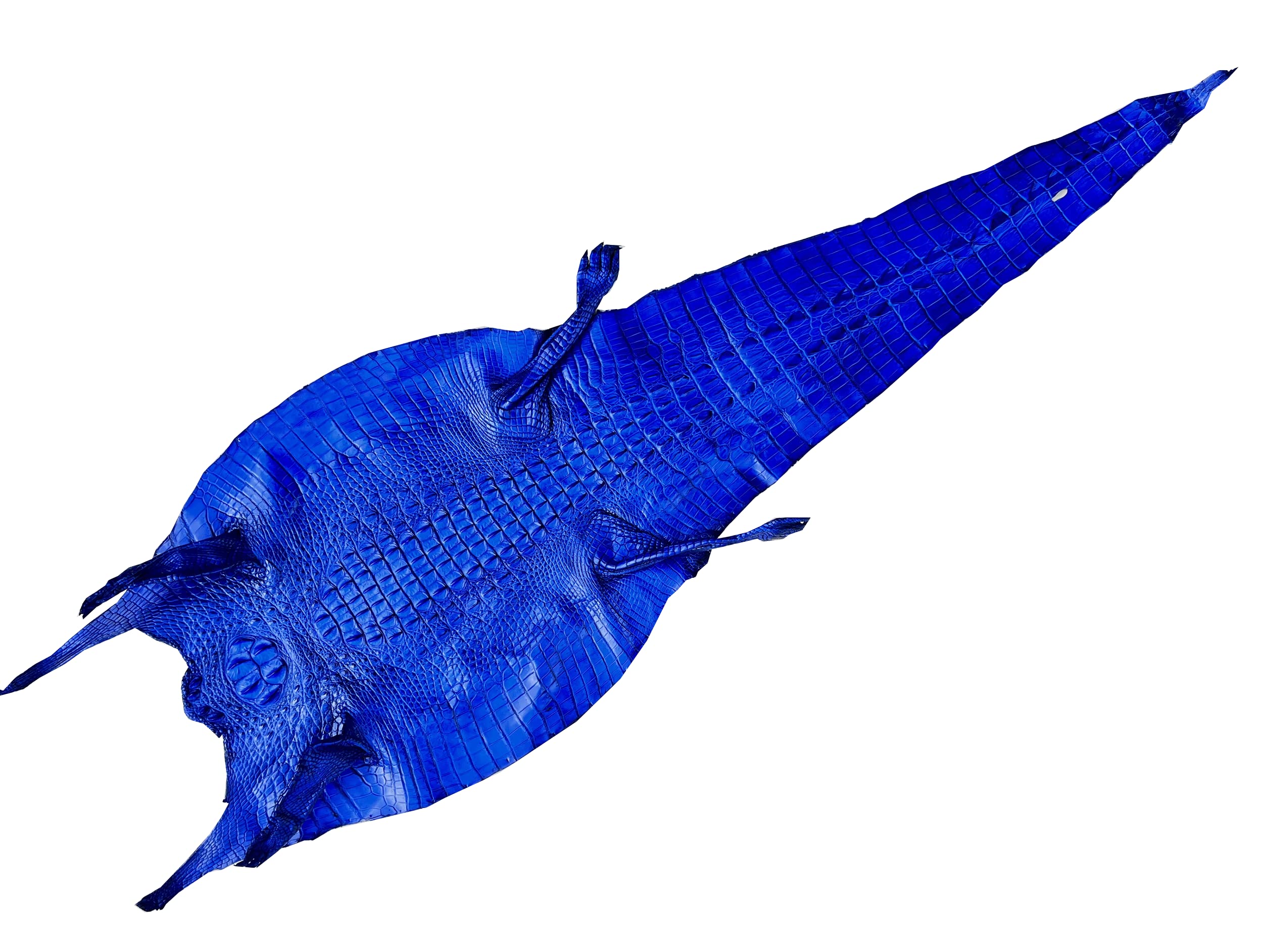Buy Blue Alligator Skin Crocodile Leather Hide Exotic Pelt Taxidermy ...