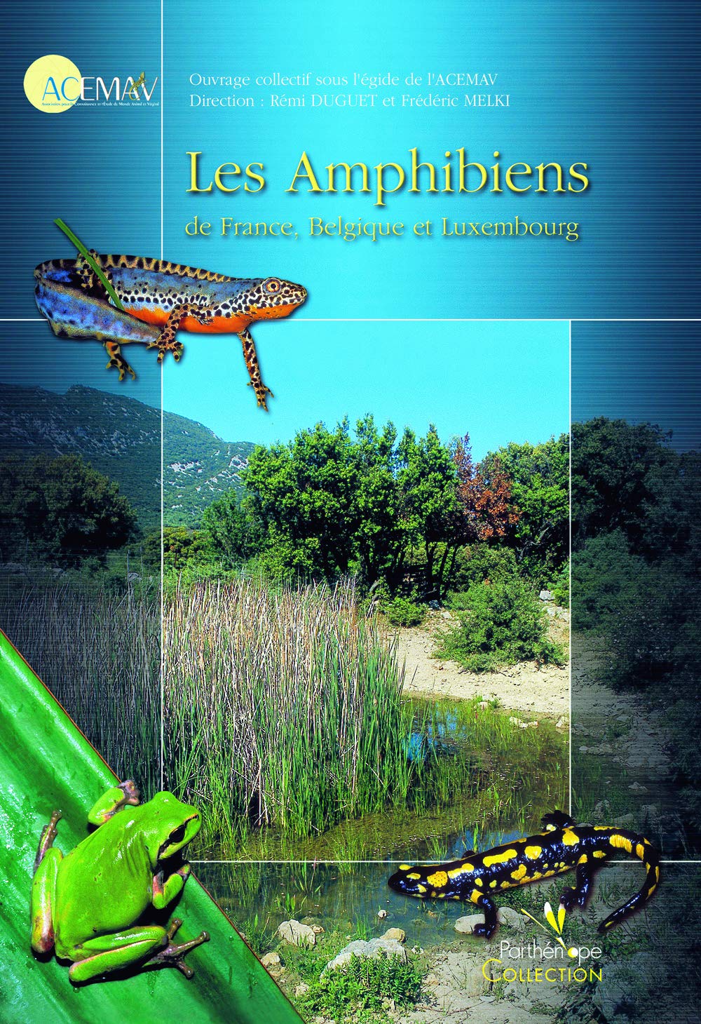 Amazon | Les Amphibiens De France, Belgique Et Luxembourg | Reptiles ...