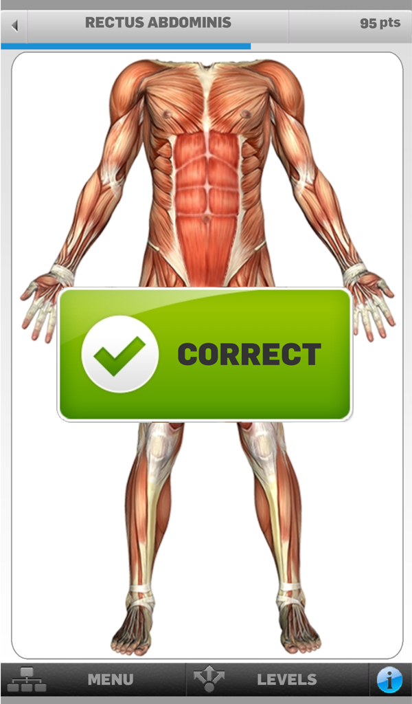 MUSCULAR ANATOMY GAME LITE-Amazonアプリストアのアプリ