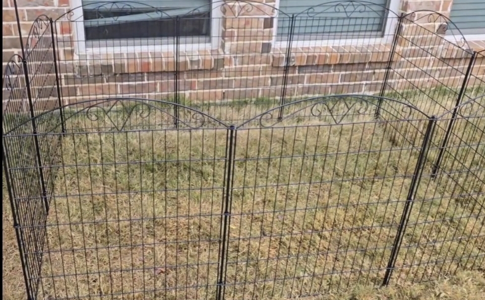 Watch This no dig dog fence works great & easy to install! on Amazon Live