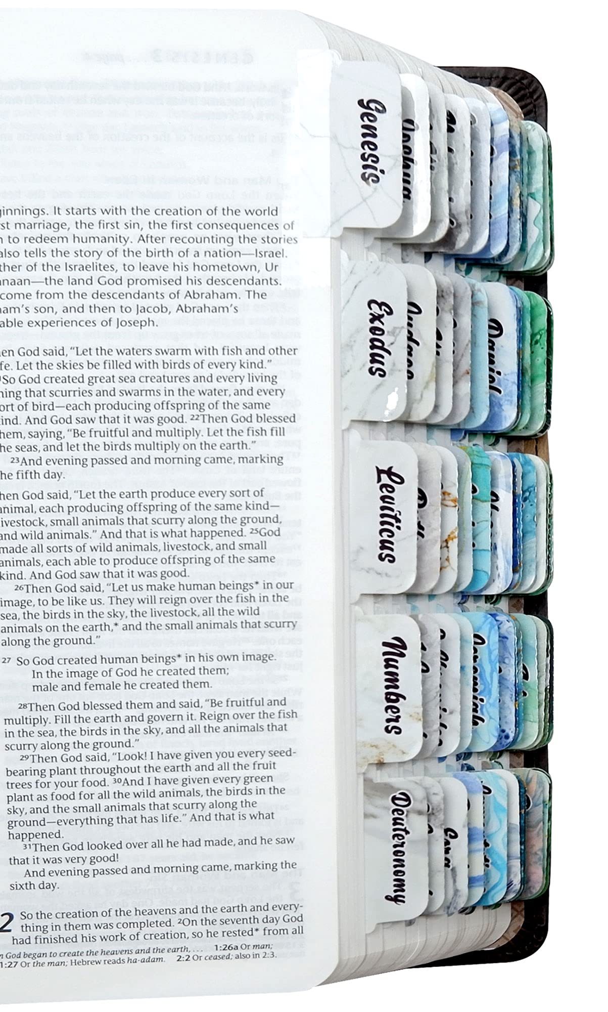 Snapklik.com : Bible Tabs Large Print Laminated Bible Dividers Old And ...