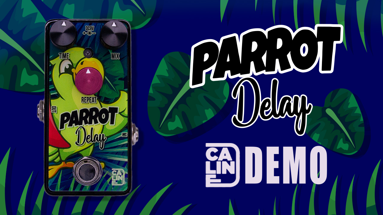 Ryan Lutton's Amazon Page