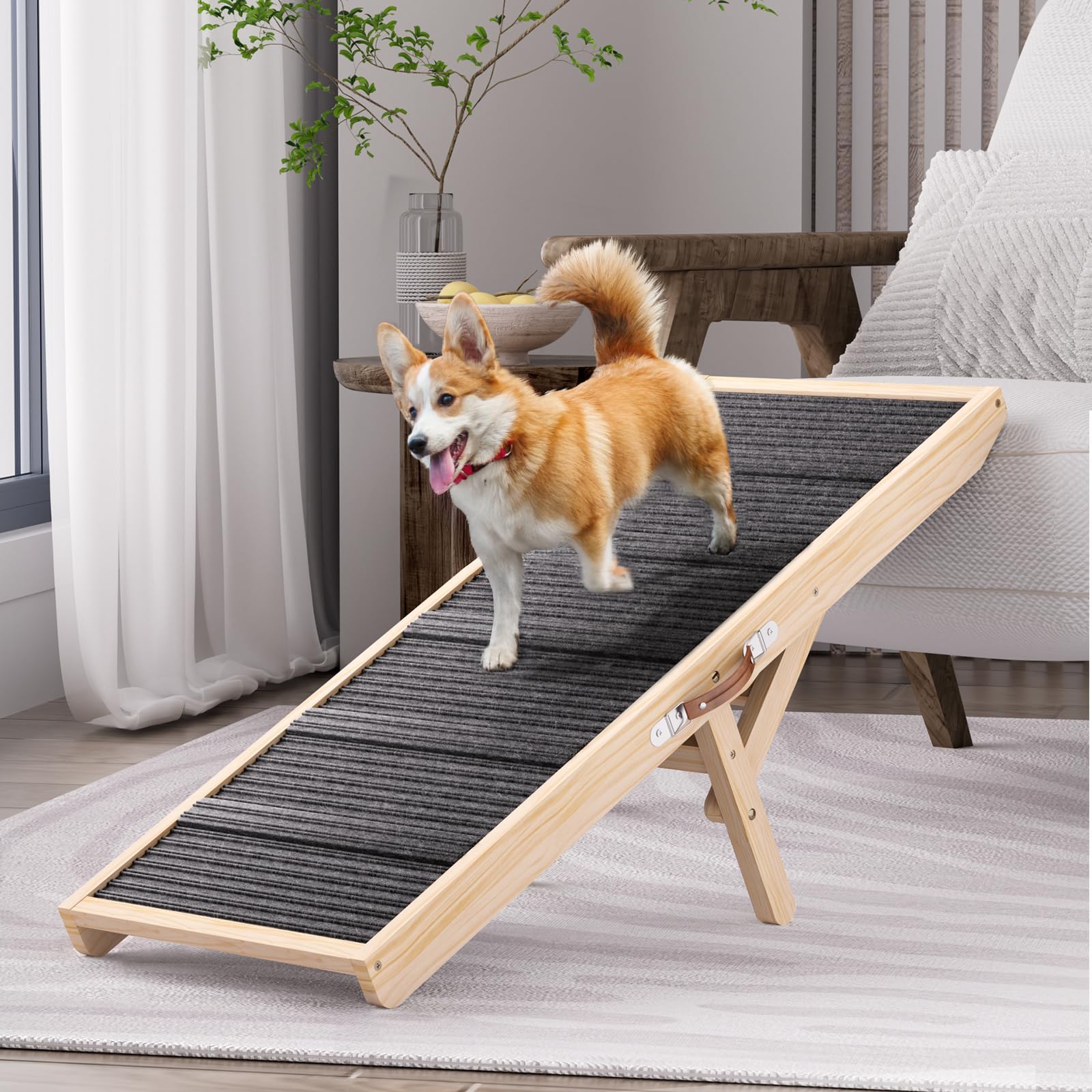 Amazon.com: Adjustable Dog Ramp Bed for Small Medium Pets Folding ...