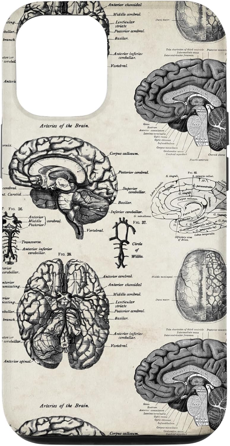 Amazon.com: iPhone 13 Anatomy Brain Vintage Textbook Diagrams ...