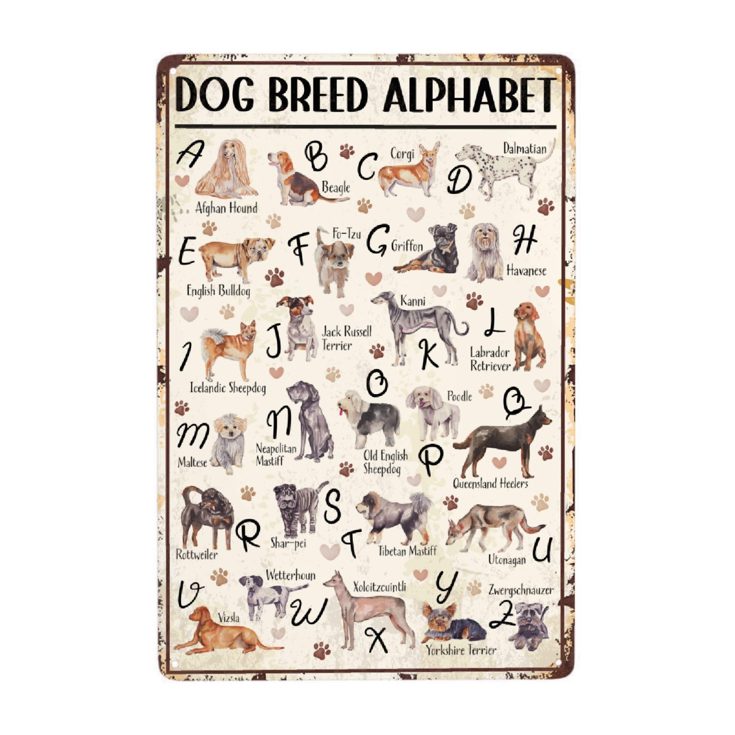 Amazon.com: JOCASA Dog Breed Alphabet Vintage Metal Poster Sign Decor ...