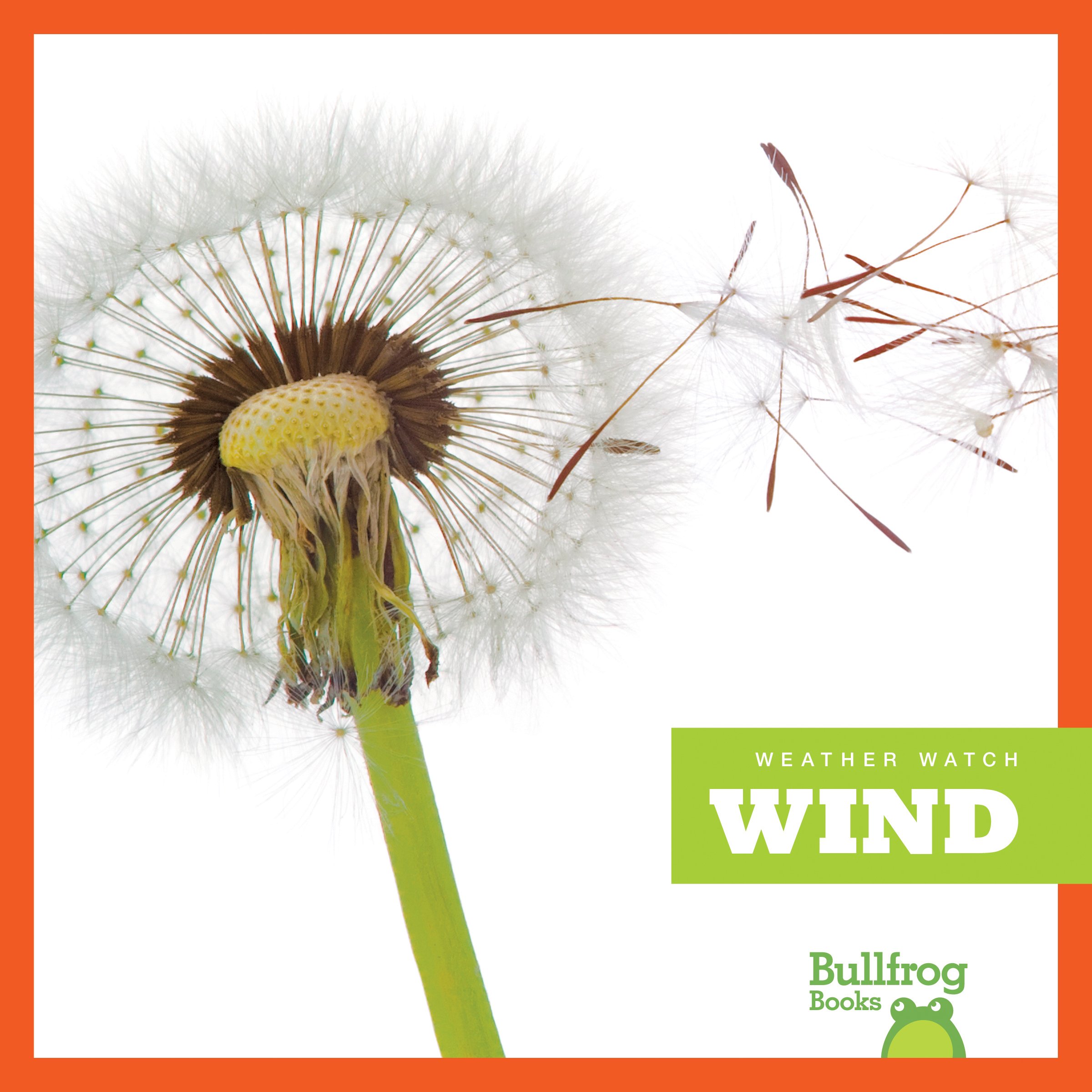 Wind (Bullfrog Books: Weather Watch): Jenny Fretland VanVoorst ...