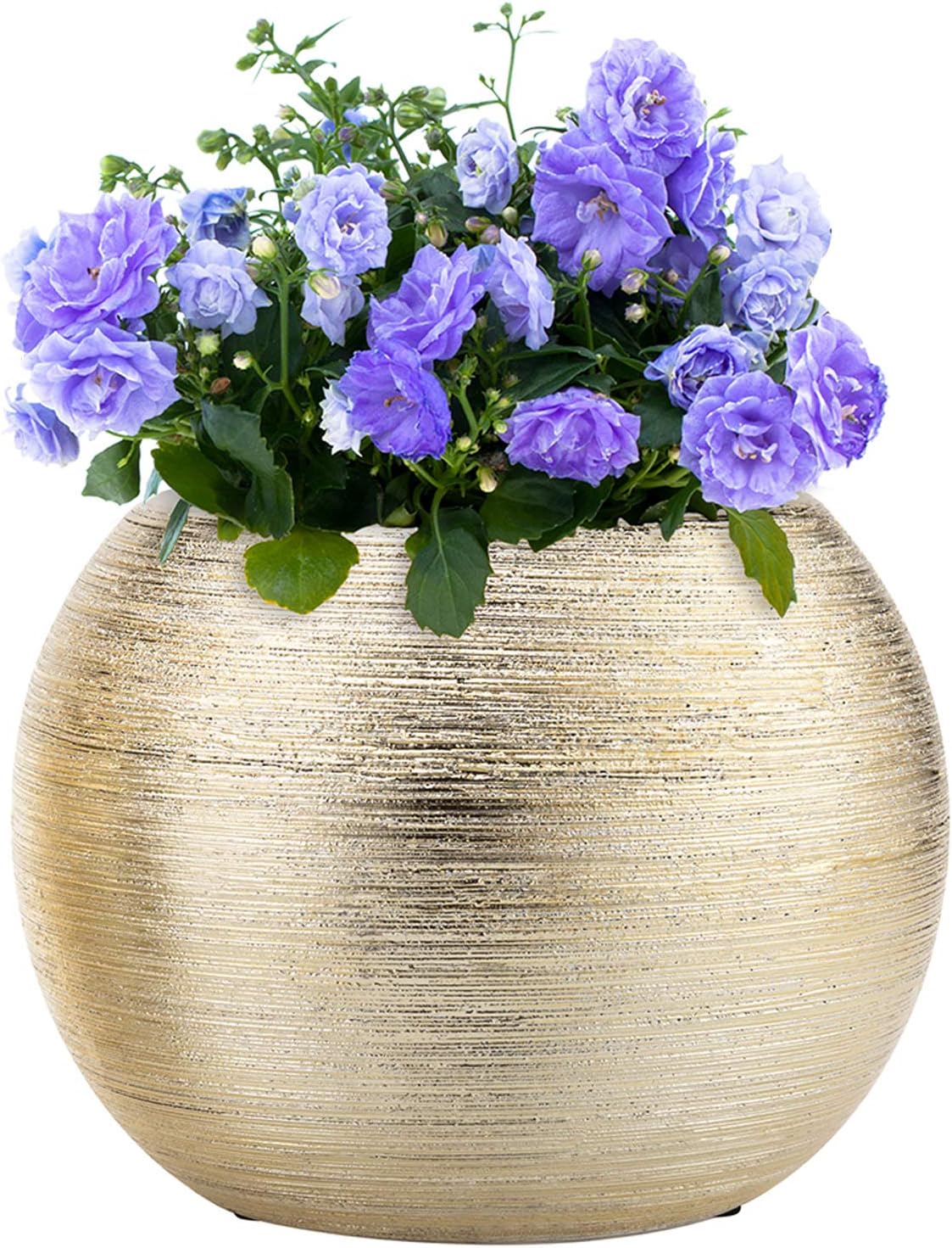 Amazon.com: MyGift 7-Inch Round Modern Metallic Gold-Tone Ridged ...