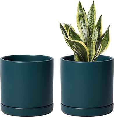 Amazon.com : Greenaholics Medium Plant Pots - 6 Inch Grey Cylinder ...