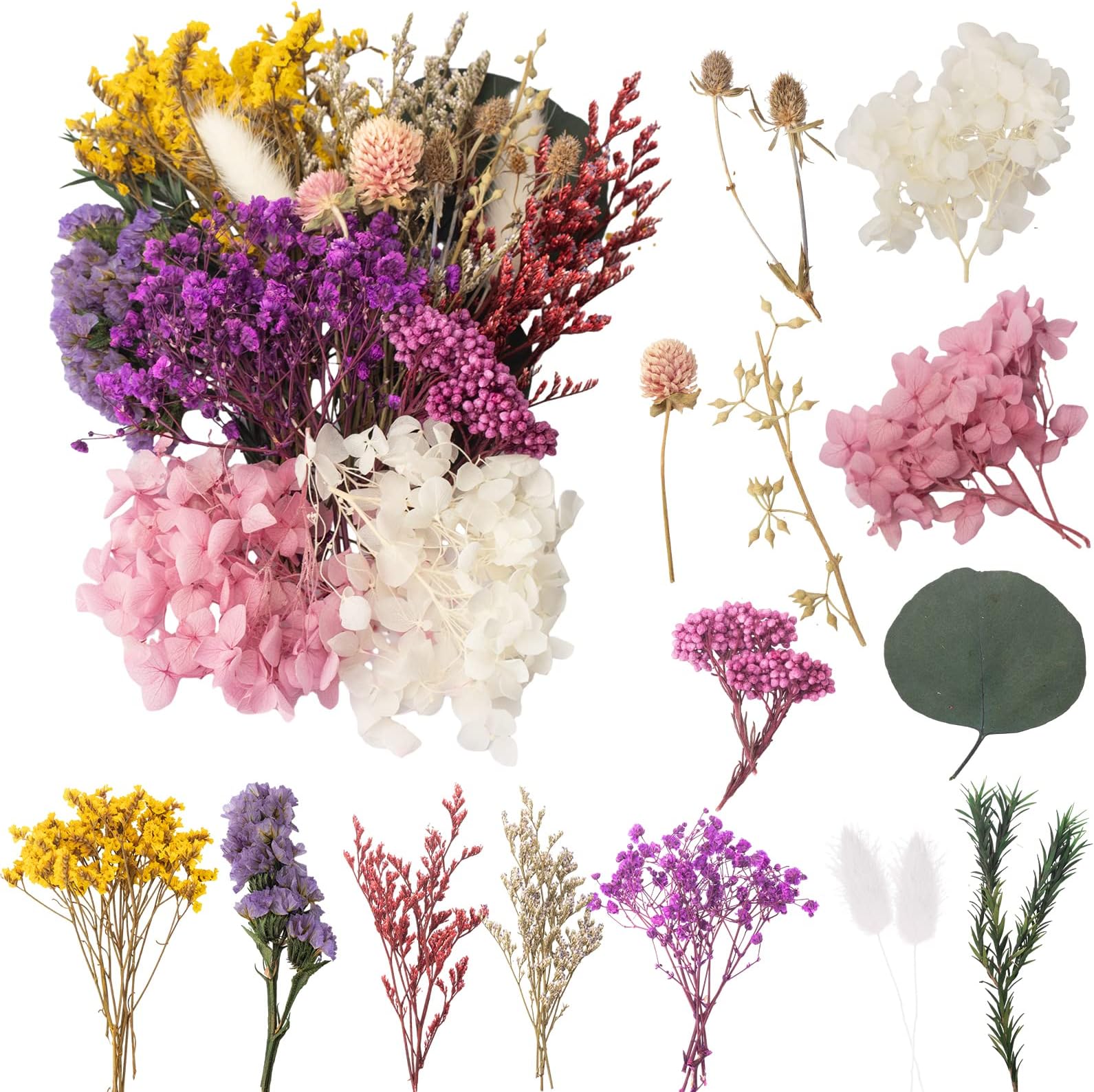 6 Pcs Mini Dried Flowers Bouquet, Mixed Natural Dried Flower Plant for ...