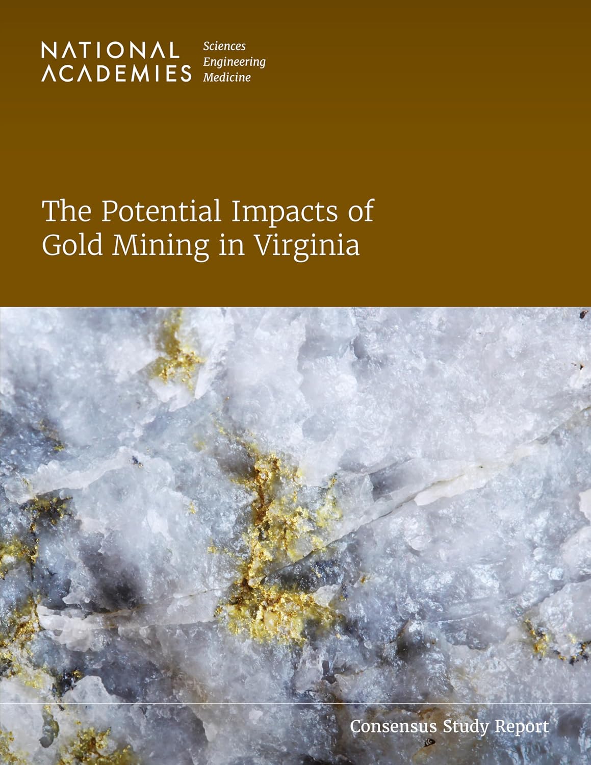 The Potential Impacts of Gold Mining in Virginia: National Academies of ...