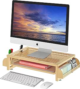 Amazon.com: Trending Metal Monitor Riser Stand and Computer Desk ...
