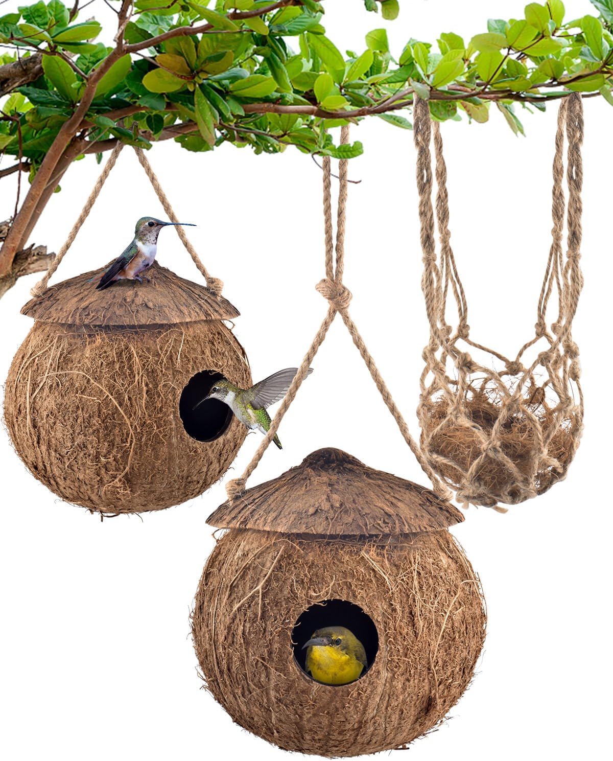 Amazon.com : Uncle Dunkels Backyard Hummingbird Nester; Rustic Handmade ...