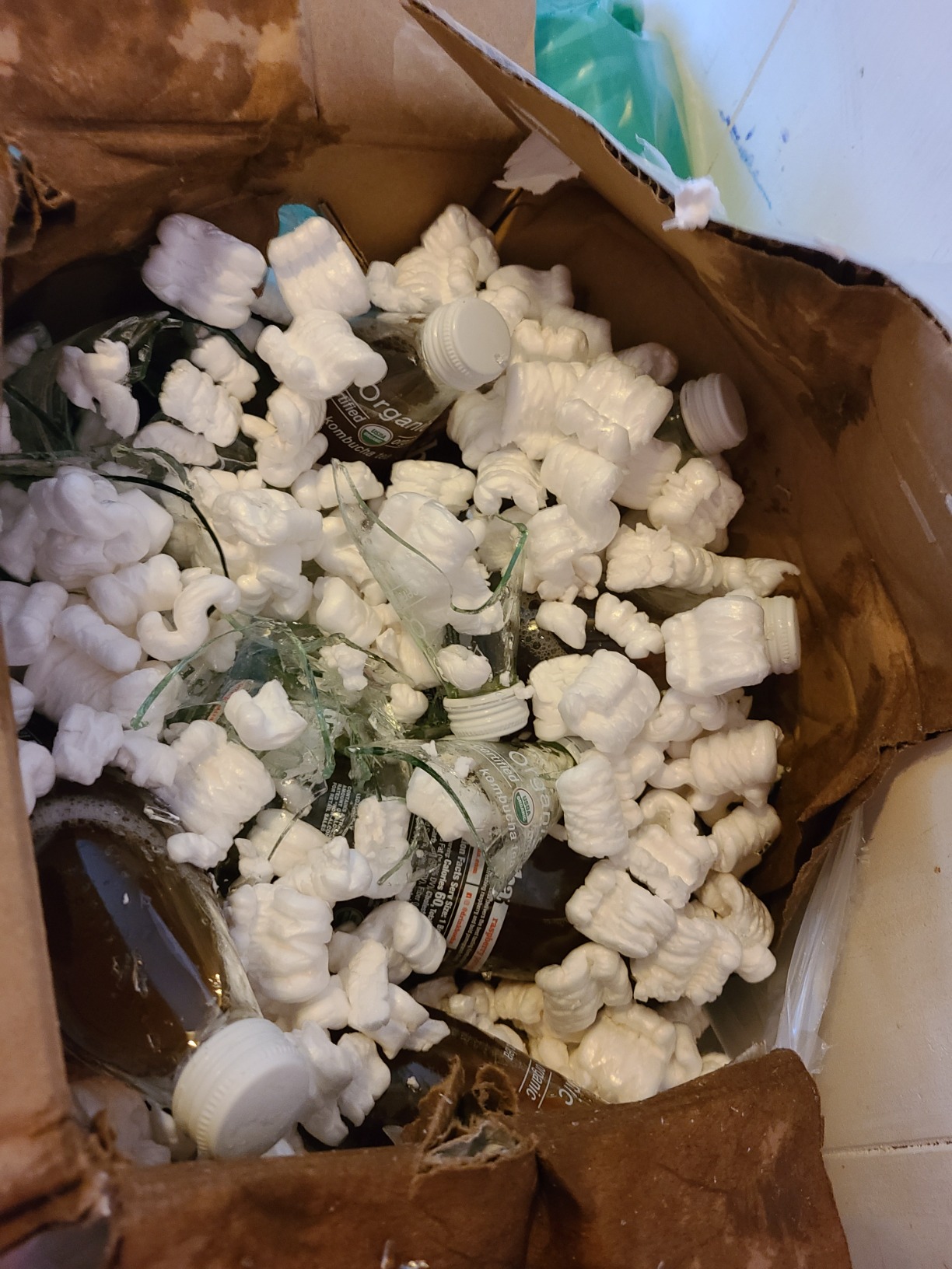 Amazon.com: Bucha Live Kombucha Organic Non-GMO Sparkling Tea 16 oz ...