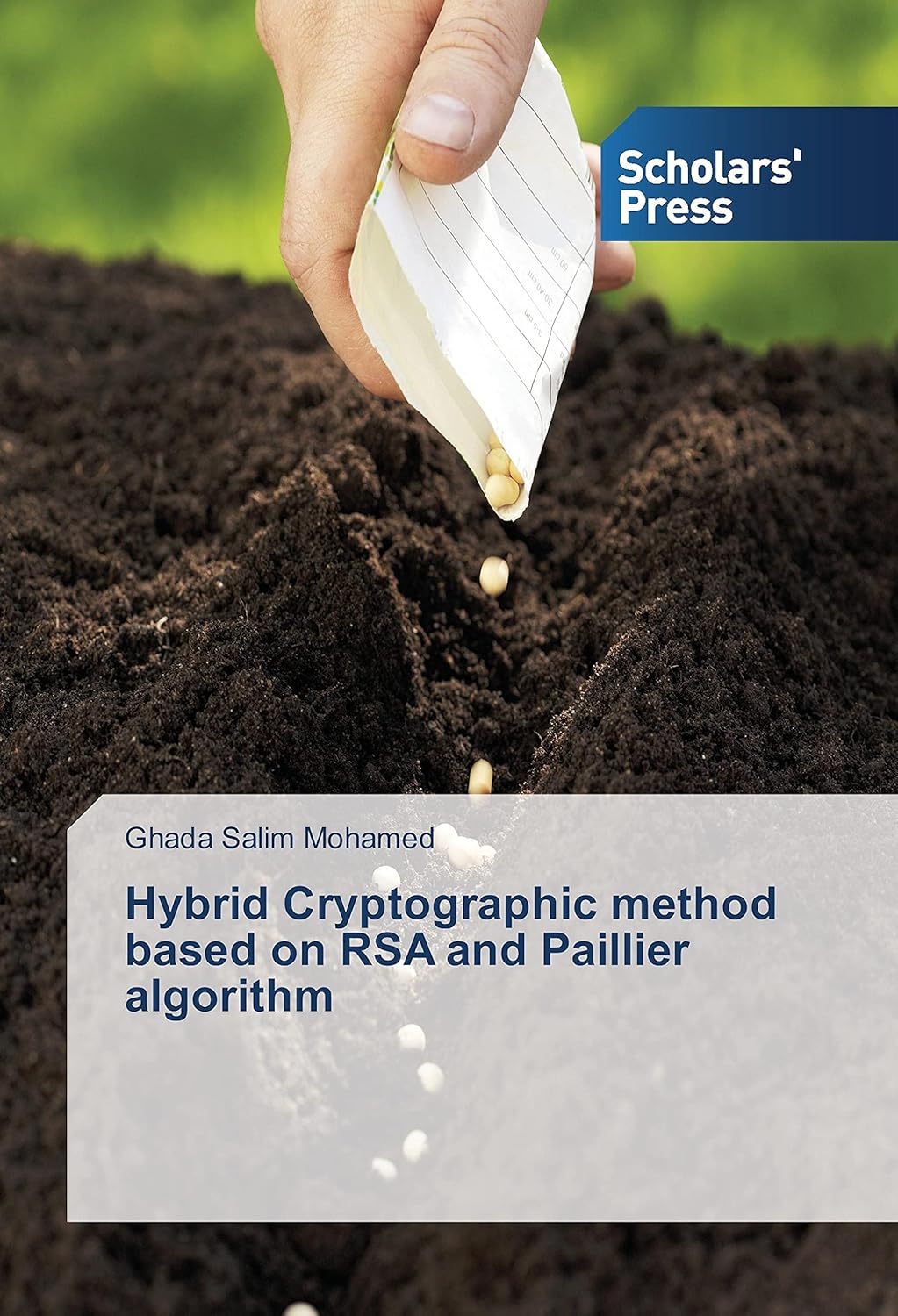 Hybrid Cryptographic method based on RSA and Paillier algorithm: Salim ...