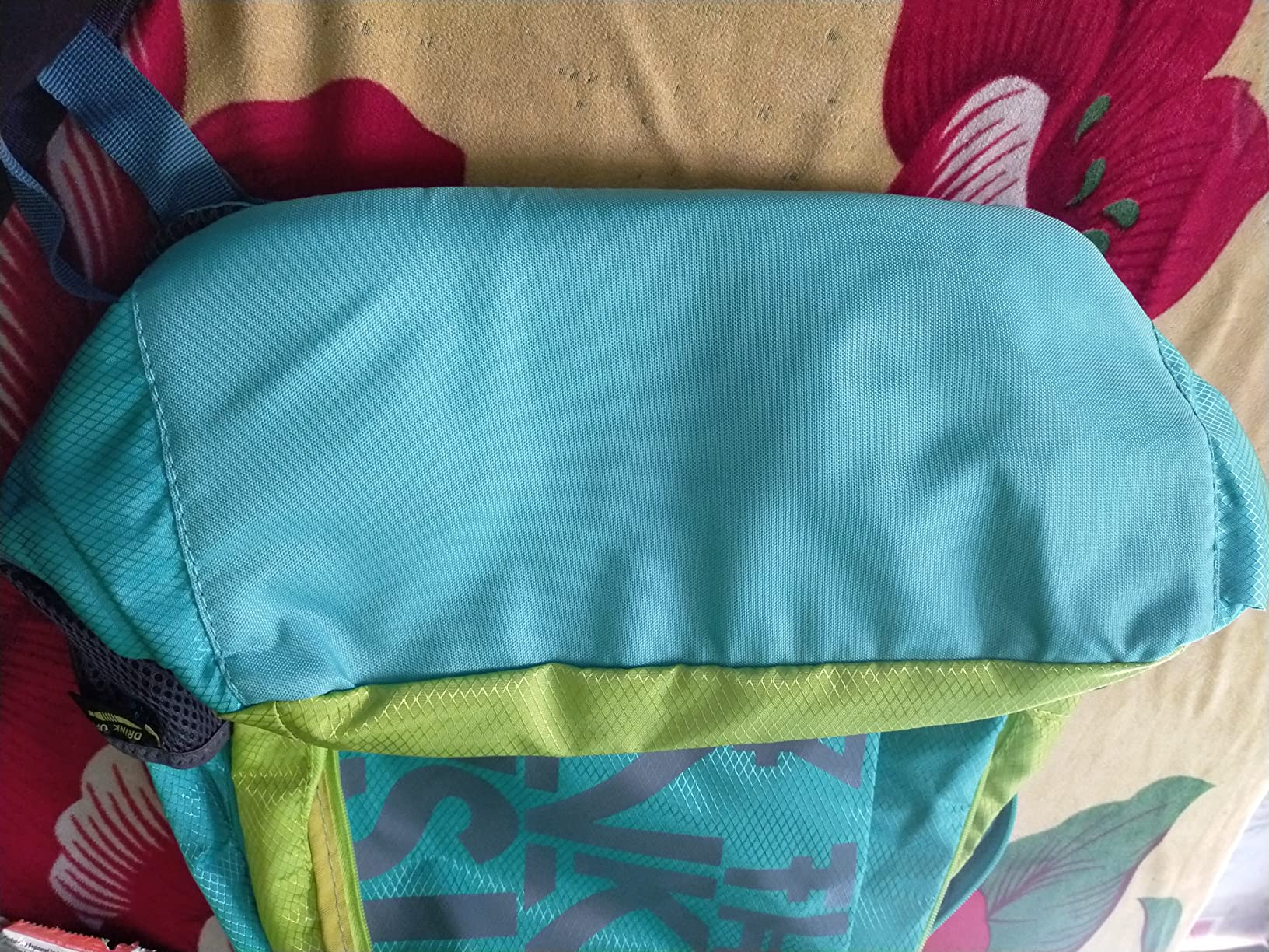 Buy Skybags New Neon 13 30 L Backpack (Blue), Free Size (Bpnne13Hblu ...