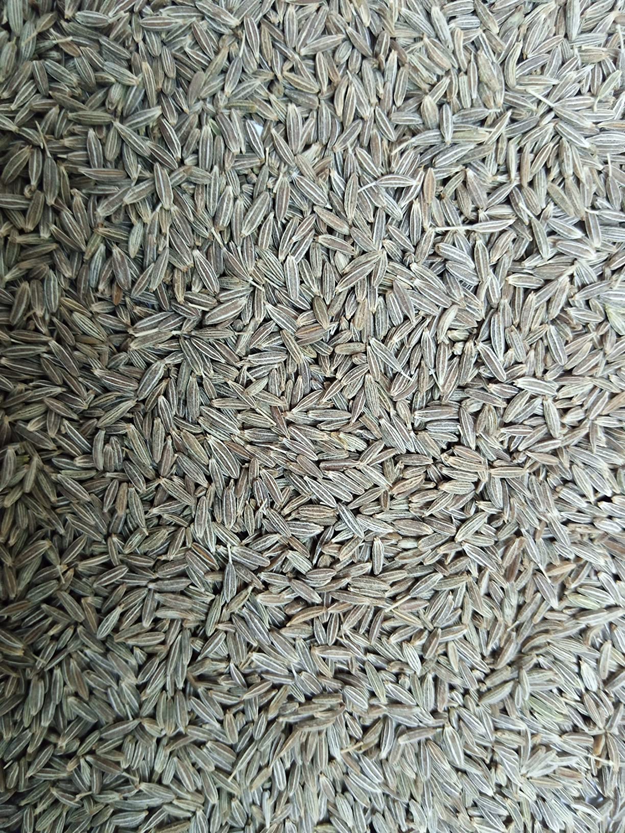 Nesbee Cumin Whole (Jeera), 1 Kg / Fresh Indian Spices / Sabut Jira ...