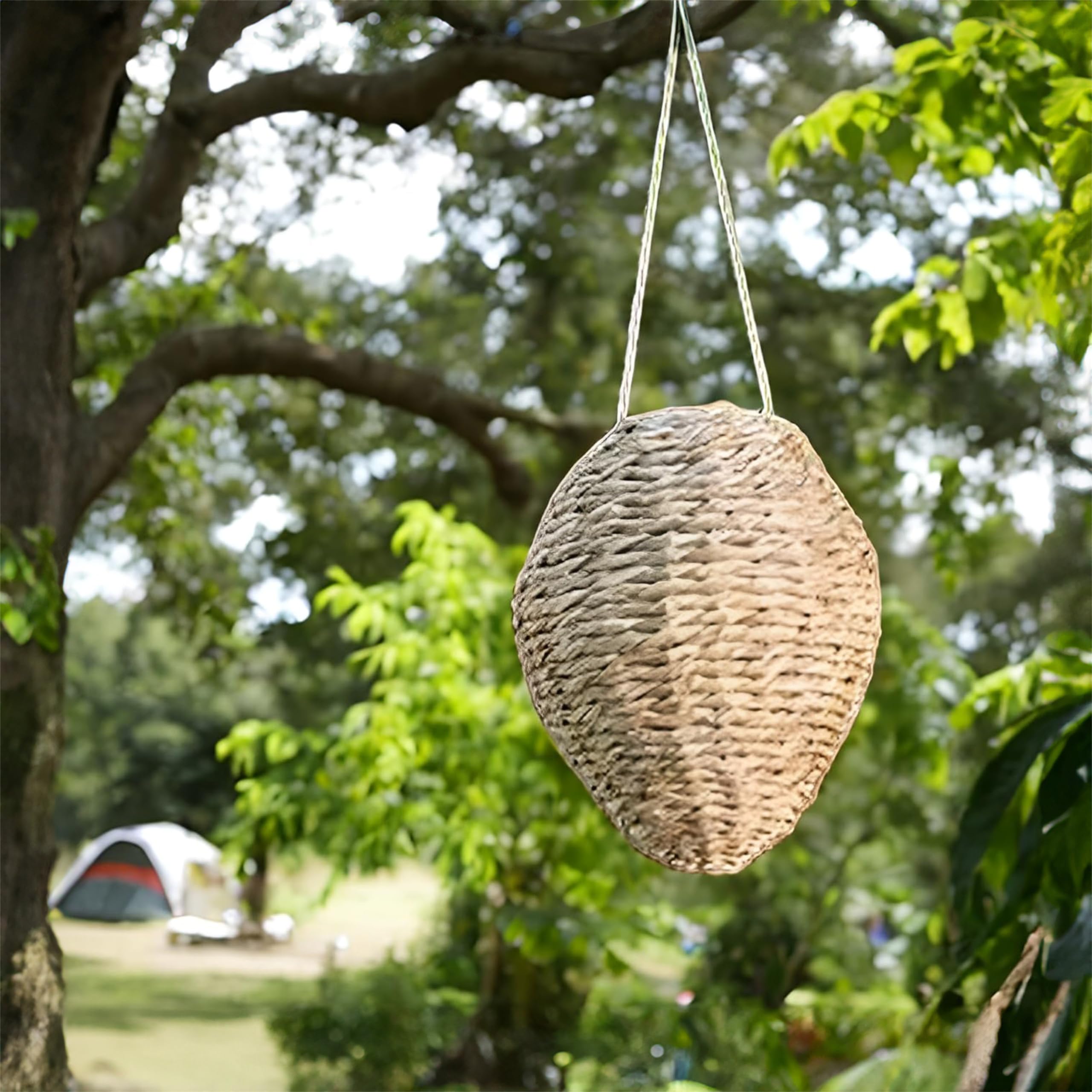 Snapklik.com : Evergreen Garden Wasp Nest Decoy 10 Inches Wasp ...