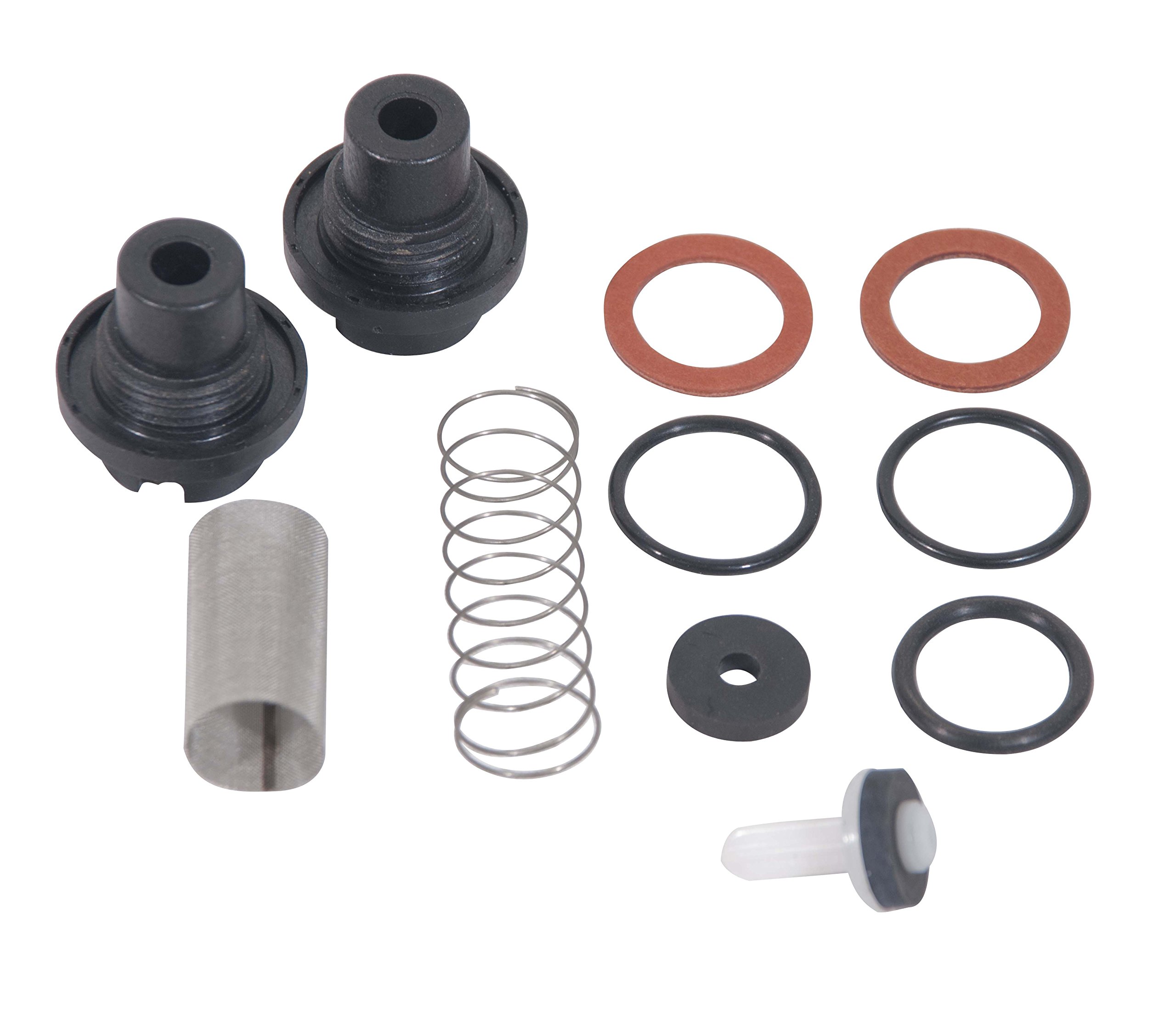 Stop Strainer, Check Valve, Repair Kit: Swimming Pool Filter Valves ...