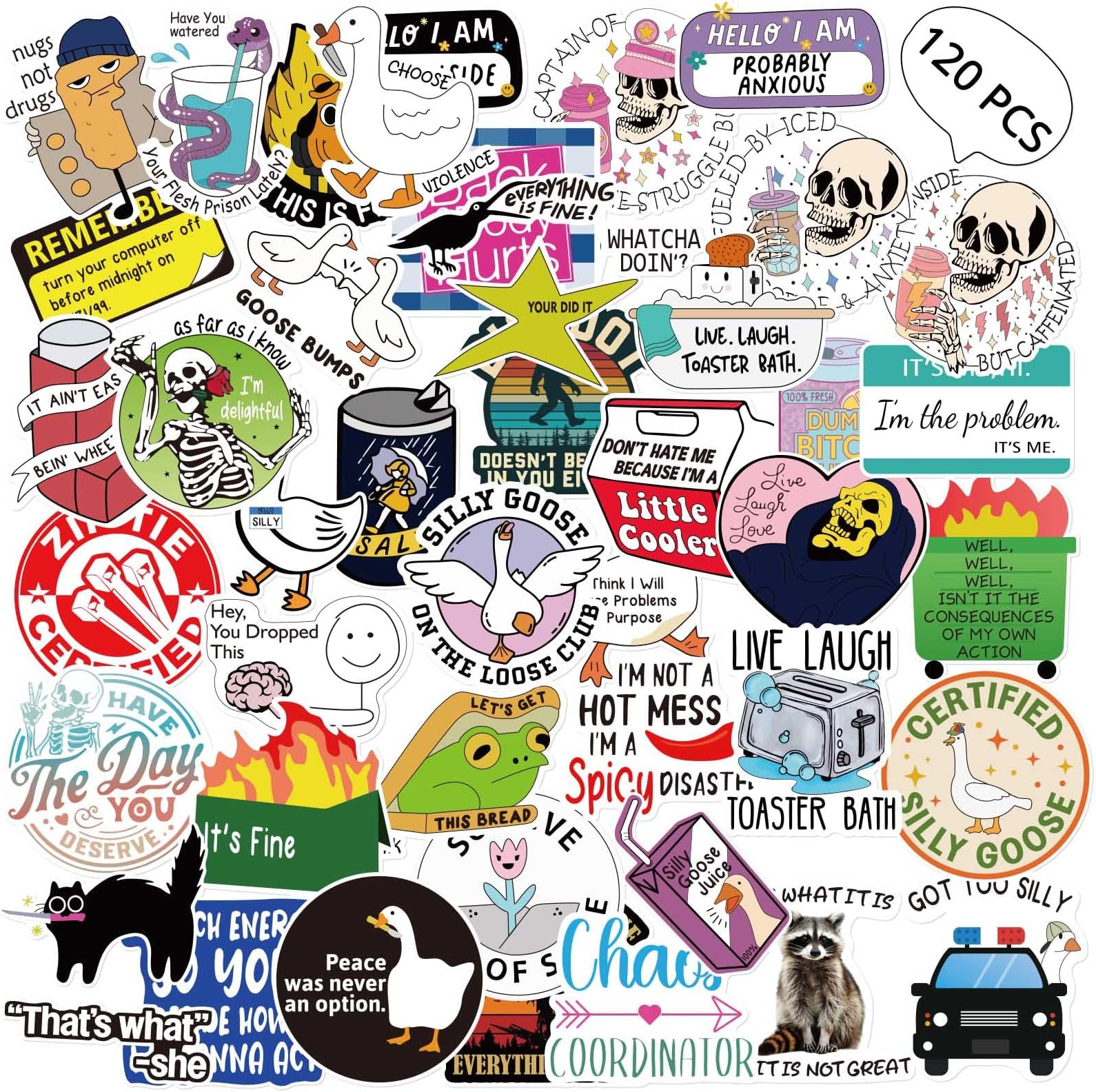 Amazon.com - PentaPrinting Warehouse This Tiny Turtle He Judges You ...